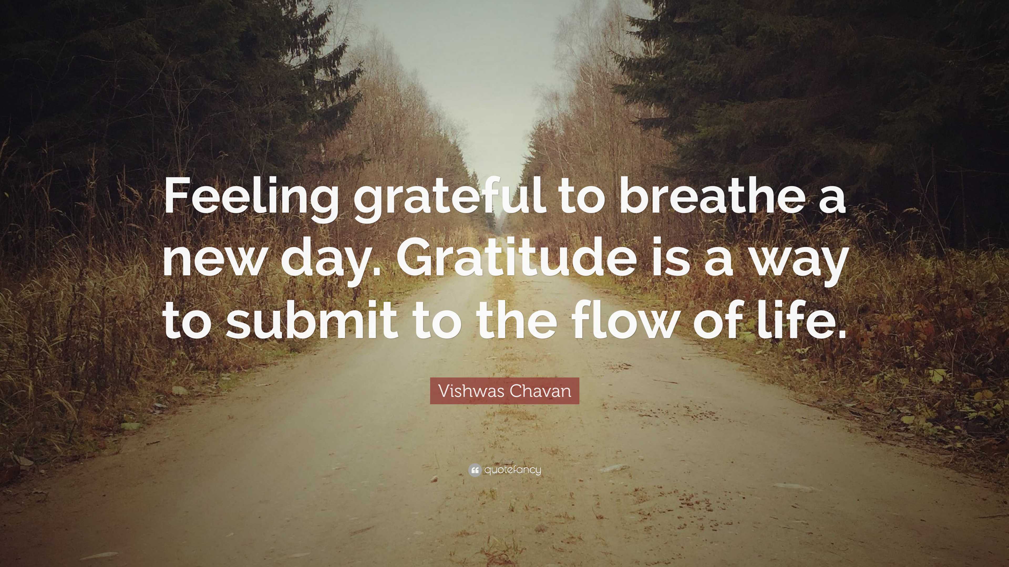 Vishwas Chavan Quote: “Feeling grateful to breathe a new day. Gratitude ...