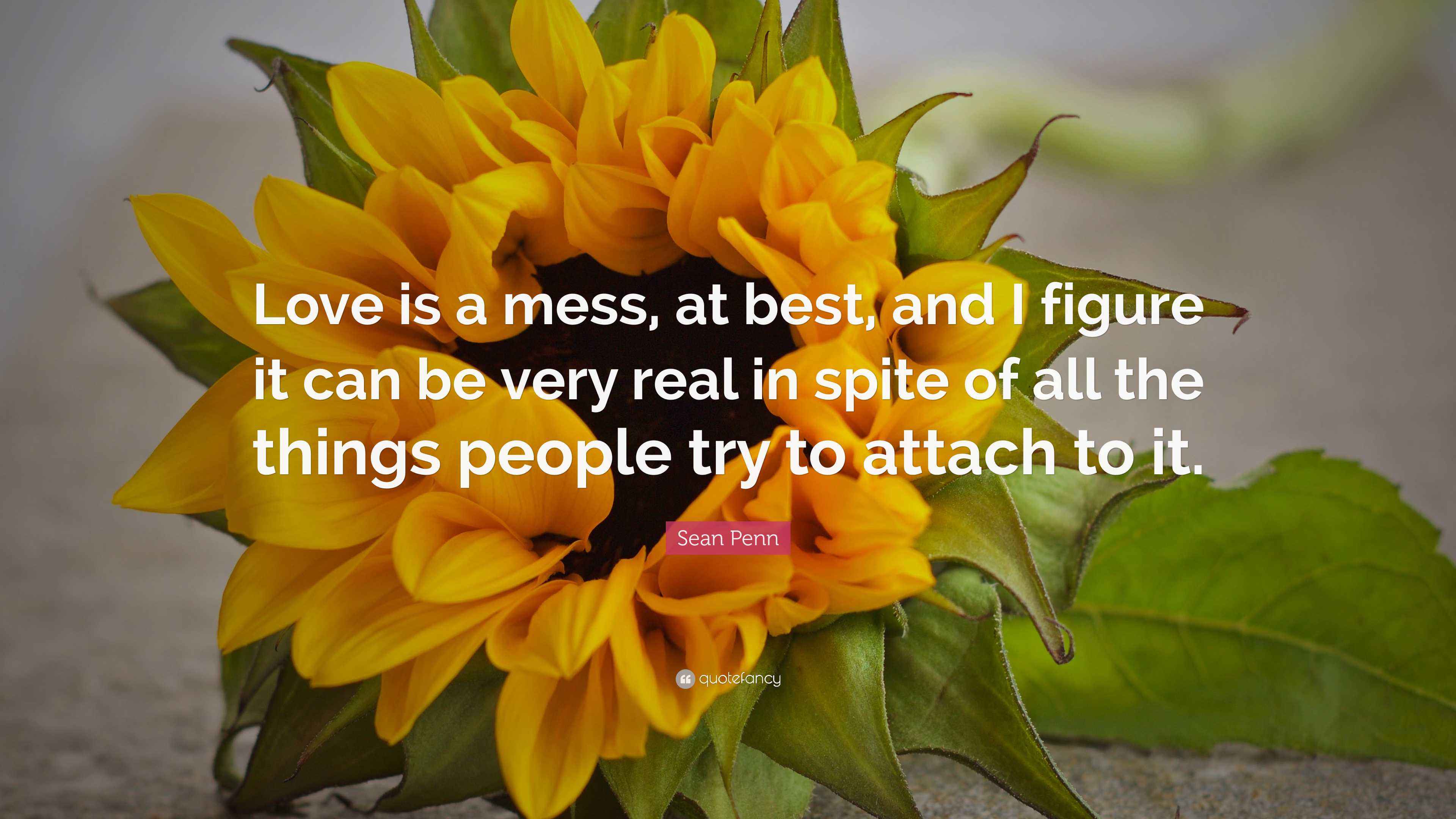 Sean Penn Quote: “Love is a mess, at best, and I figure it can be very ...