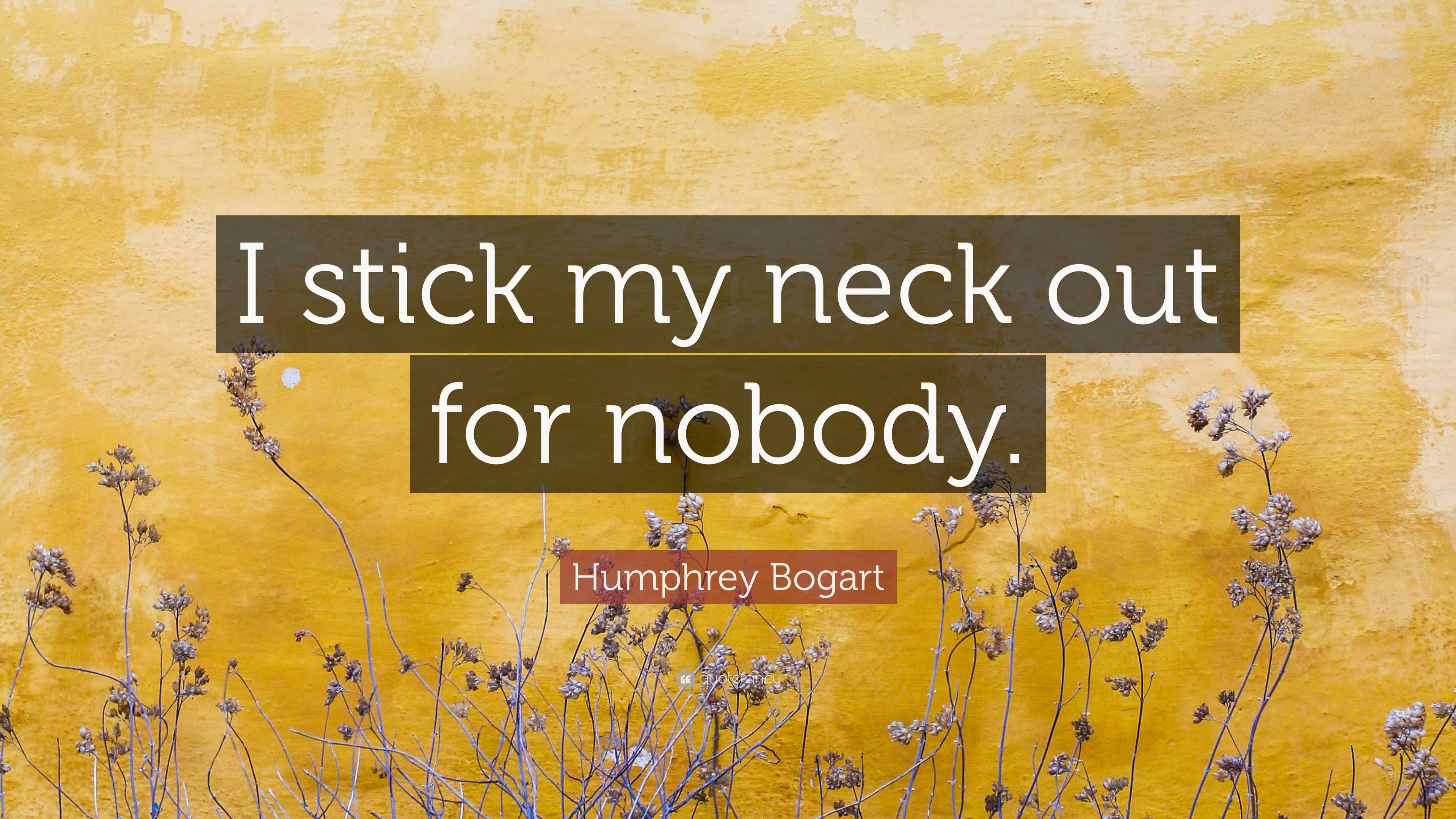 Humphrey Bogart Quote: “I stick my neck out for nobody.”