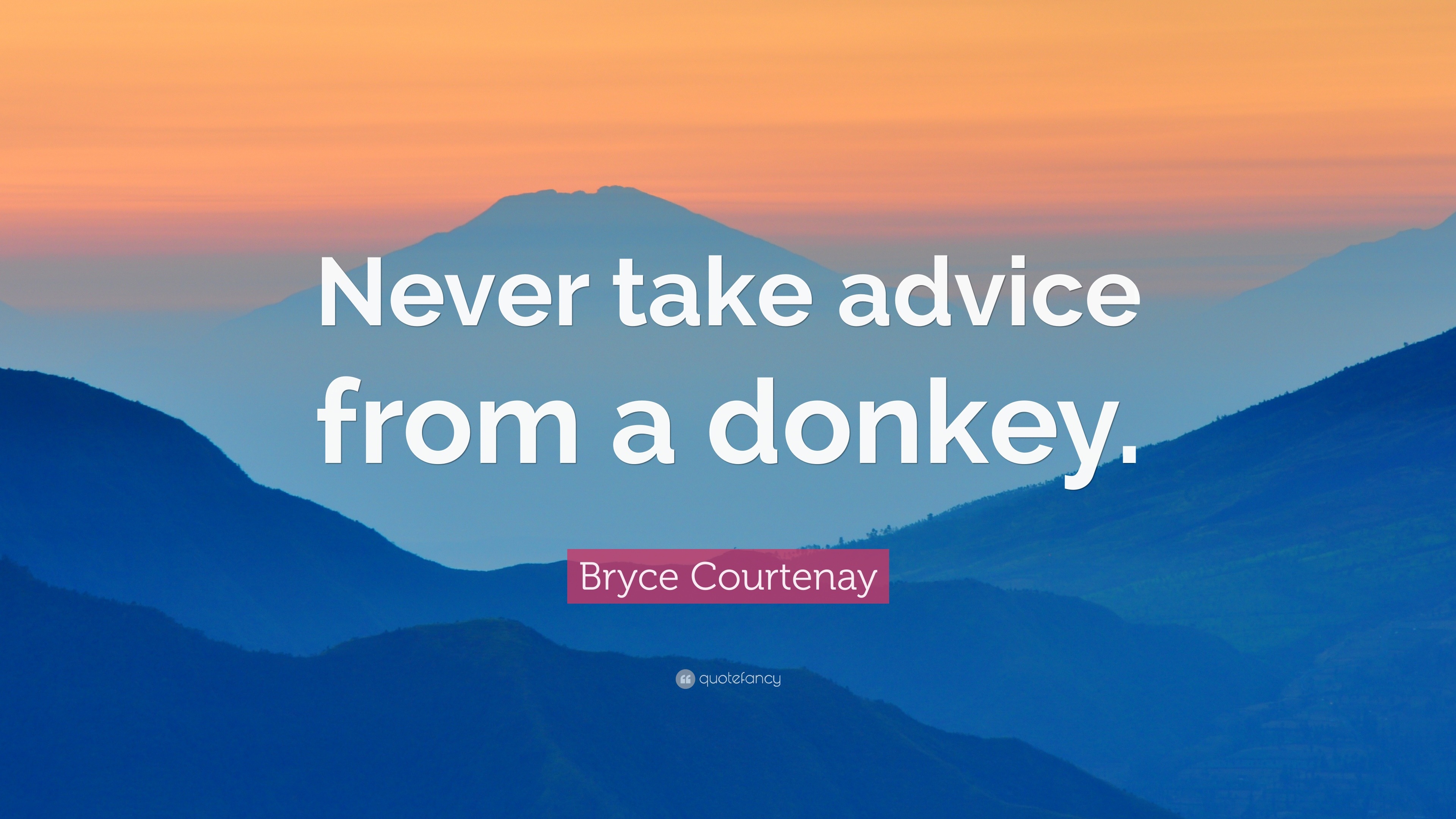Bryce Courtenay Quote: “Never take advice from a donkey.”
