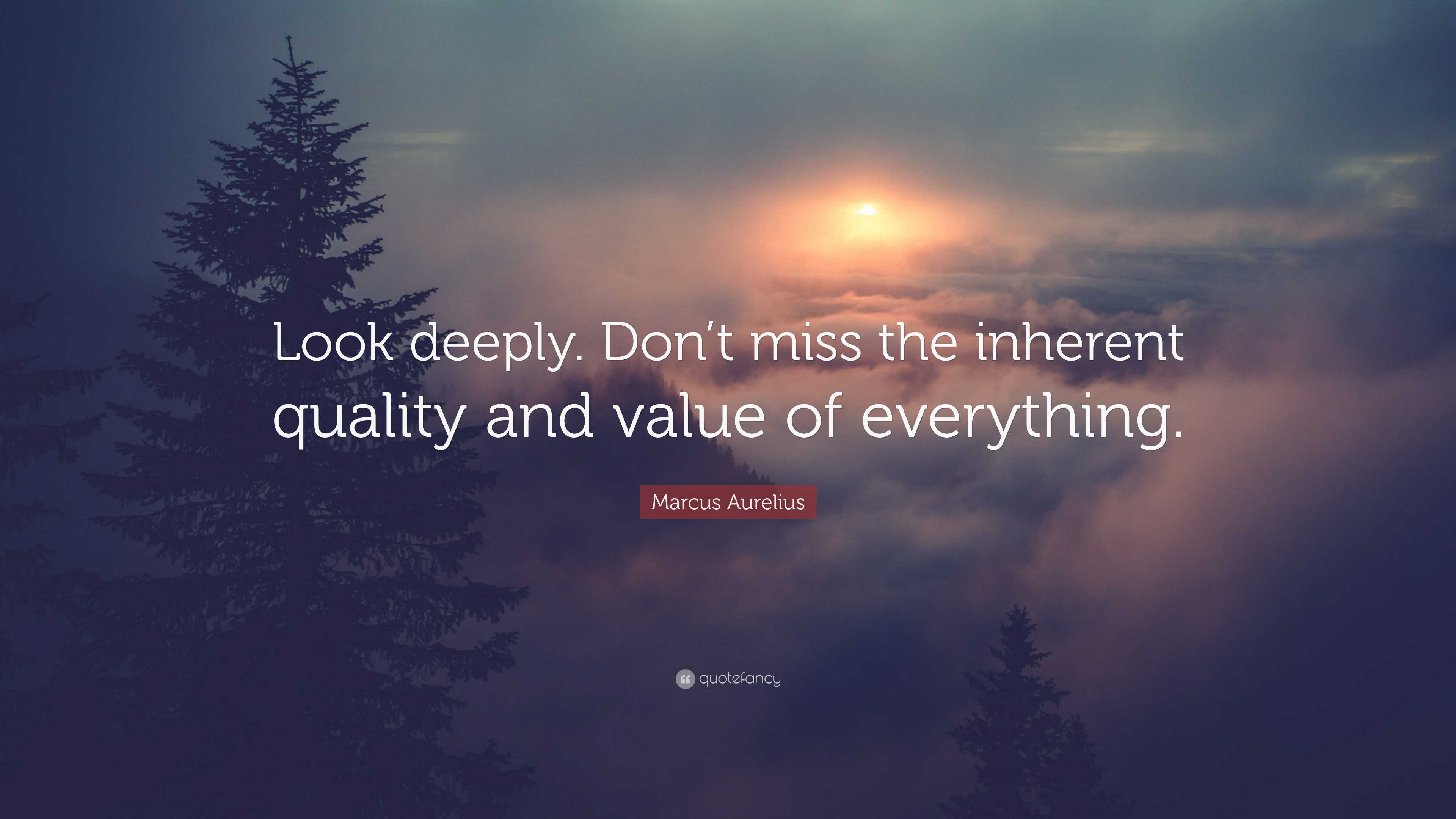 Marcus Aurelius Quote: “Look deeply. Don’t miss the inherent quality ...