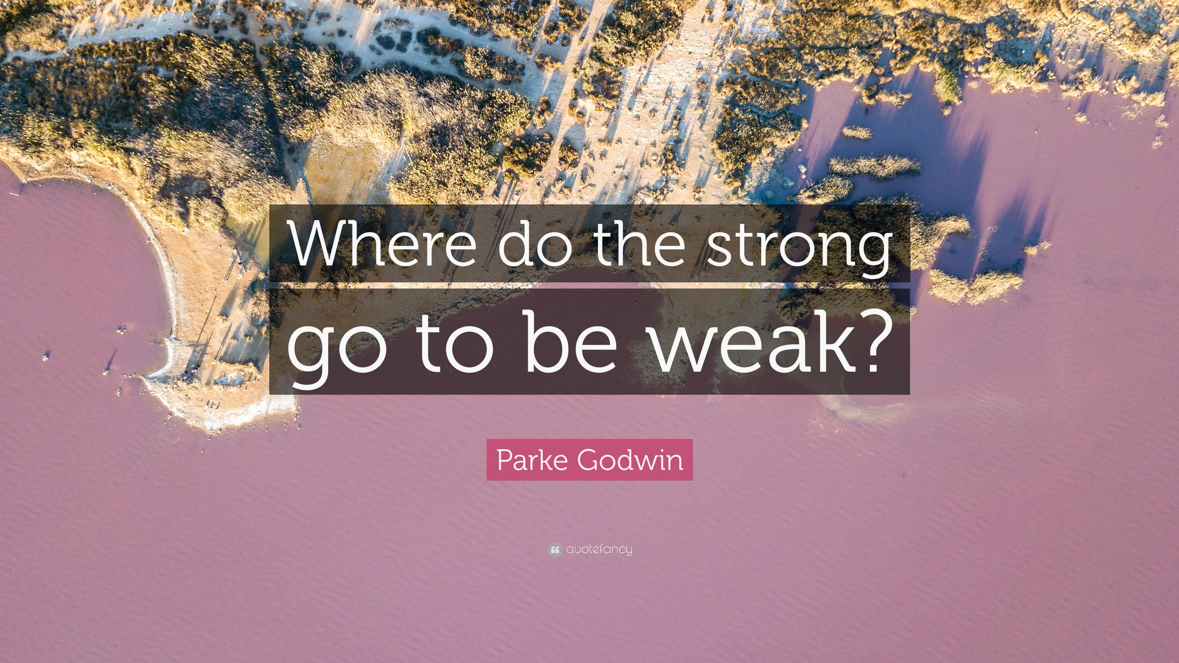 Parke Godwin Quote: “Where do the strong go to be weak?”