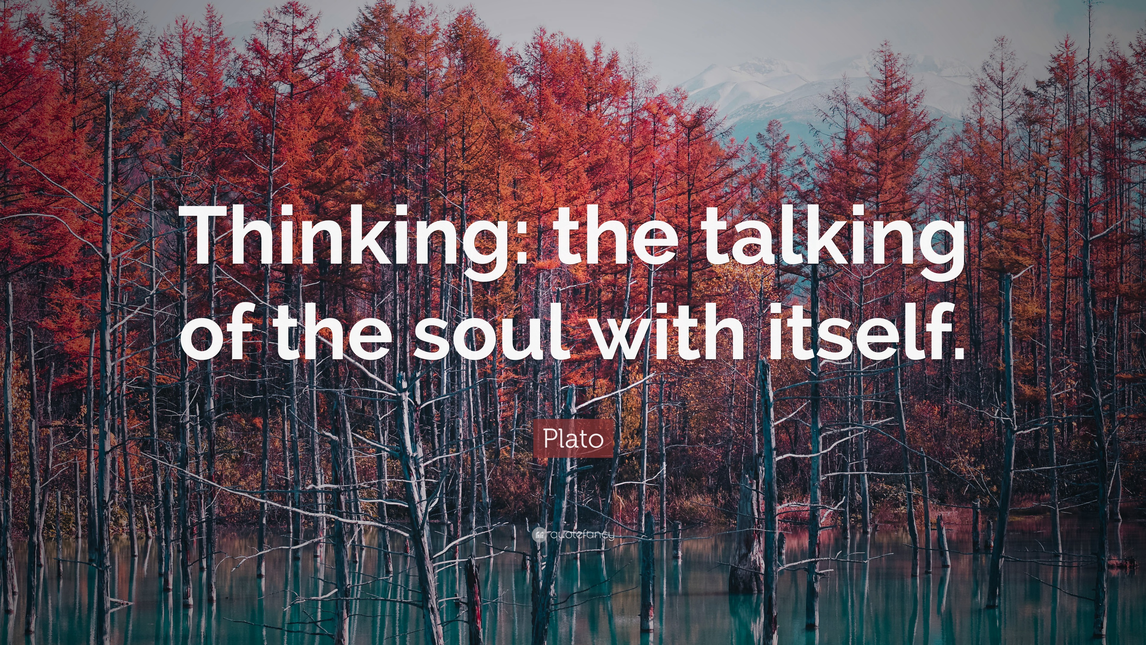 Plato Quote: “Thinking: the talking of the soul with itself.”
