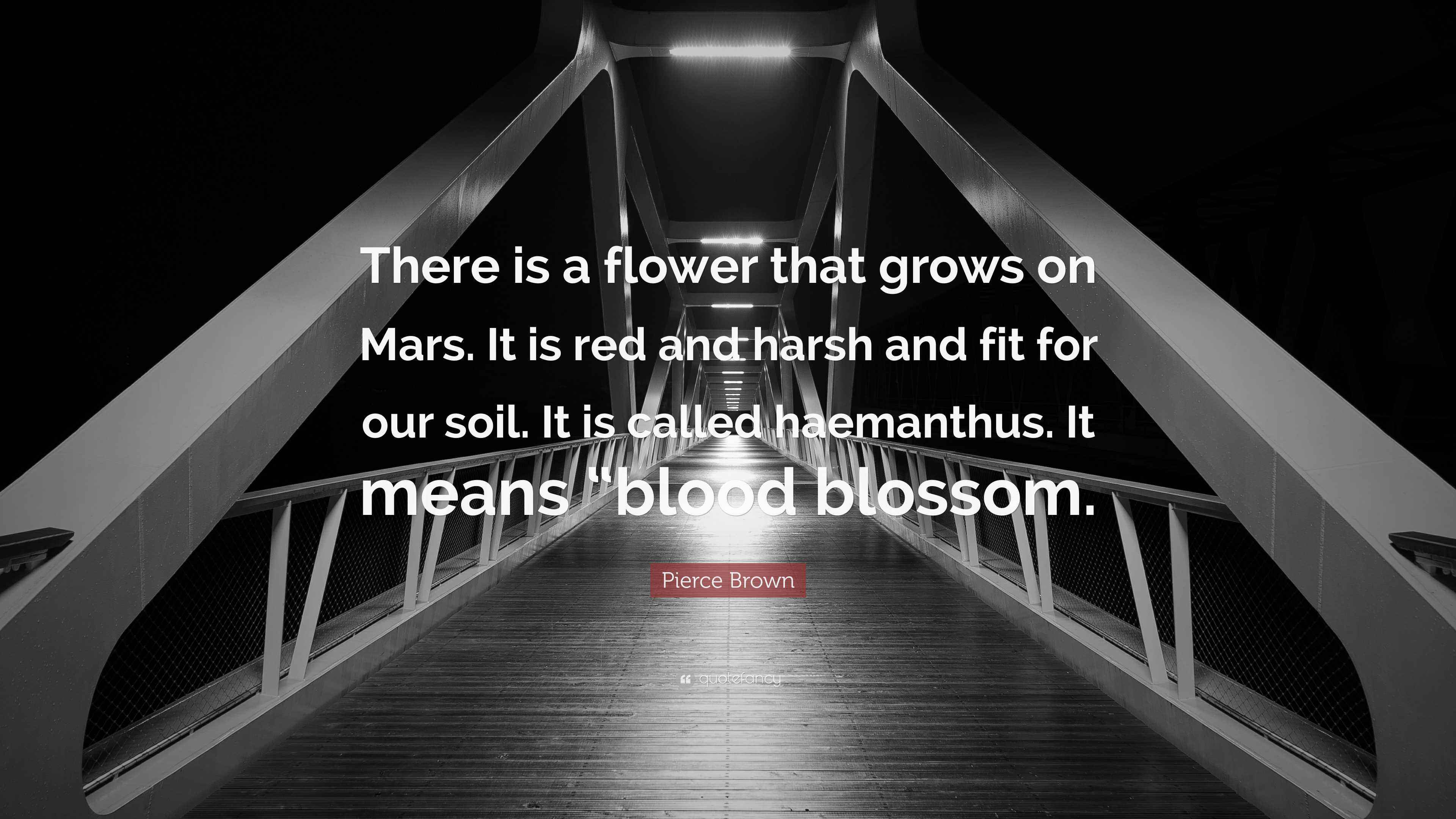 Pierce Brown Quote: “There is a flower that grows on Mars. It is red ...