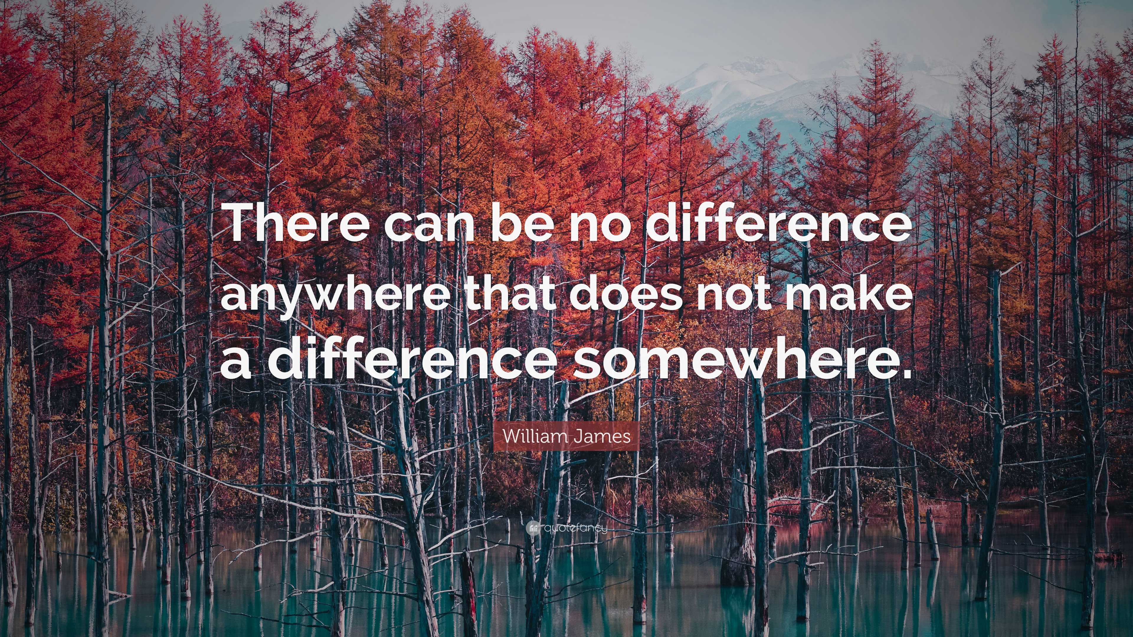 William James Quote: “There can be no difference anywhere that does not ...