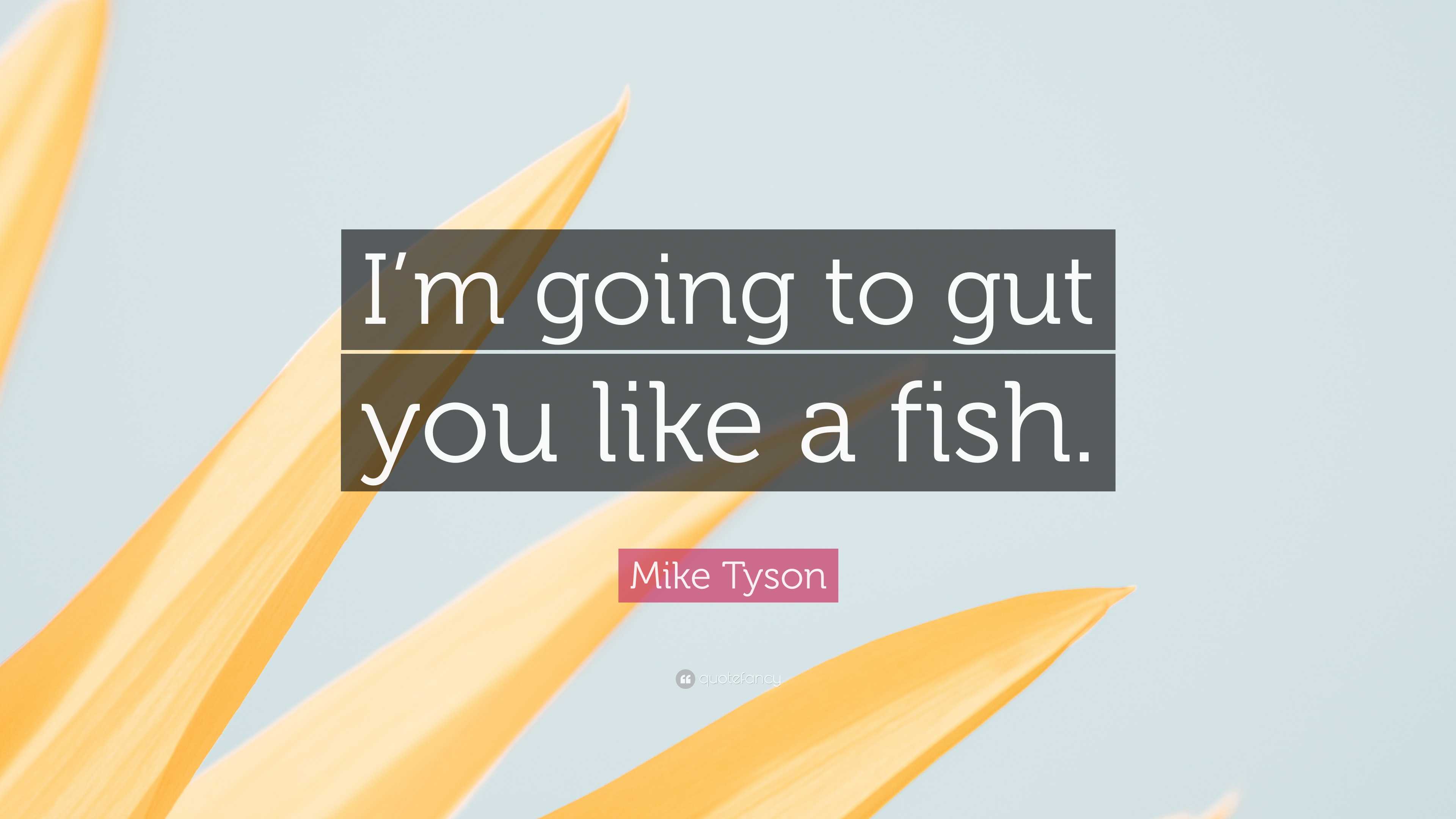 Mike Tyson Quote: “I’m going to gut you like a fish.”
