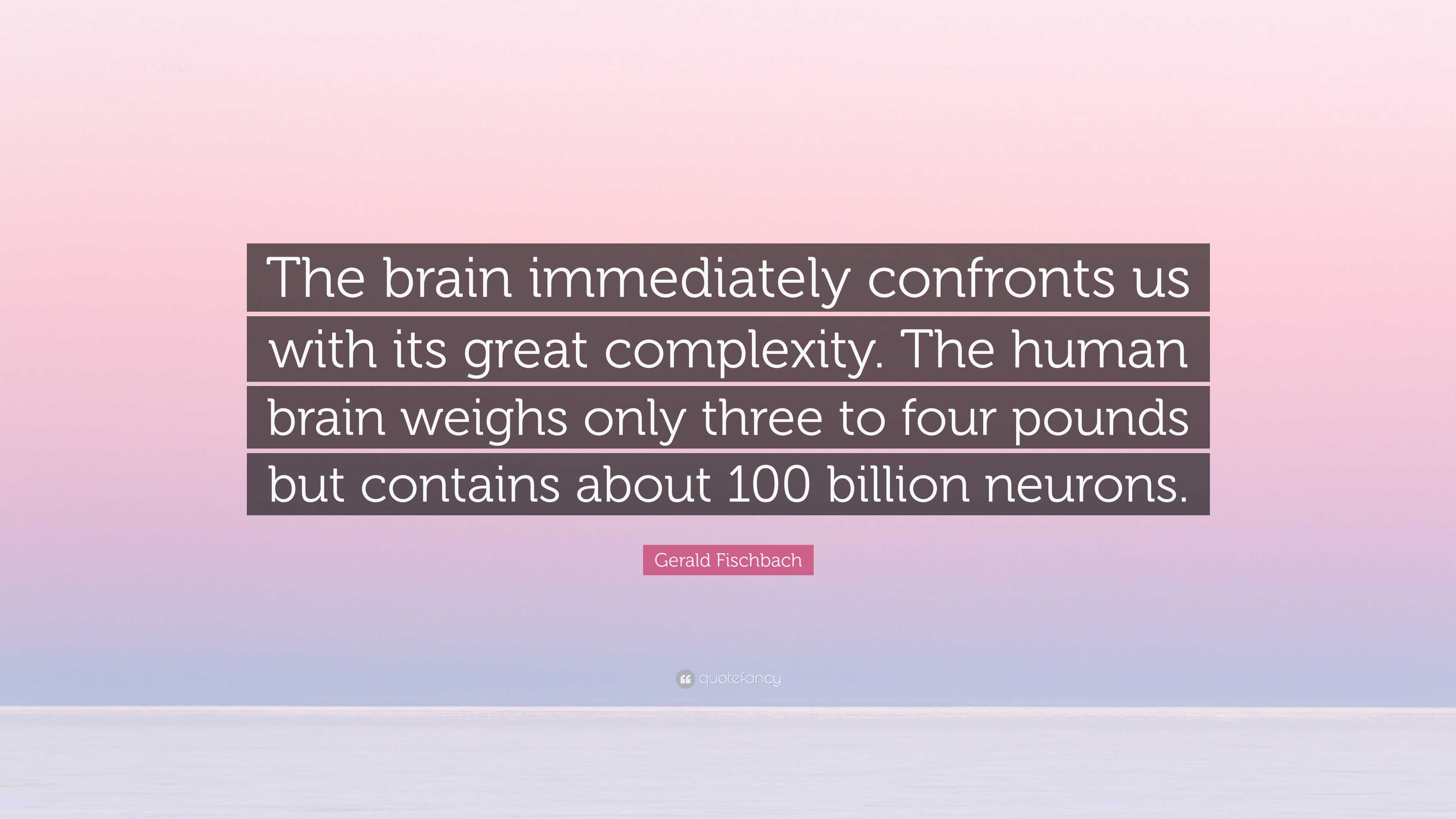 Gerald Fischbach Quote: “The brain immediately confronts us with its ...
