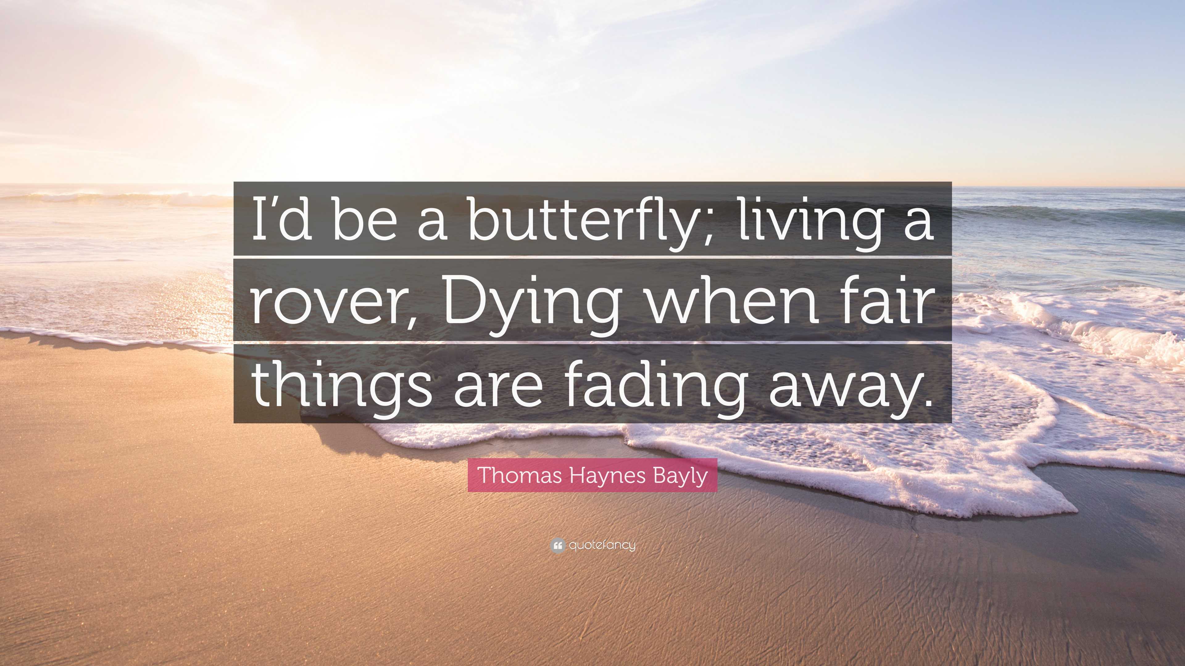 Thomas Haynes Bayly Quote: “I’d be a butterfly; living a rover, Dying ...