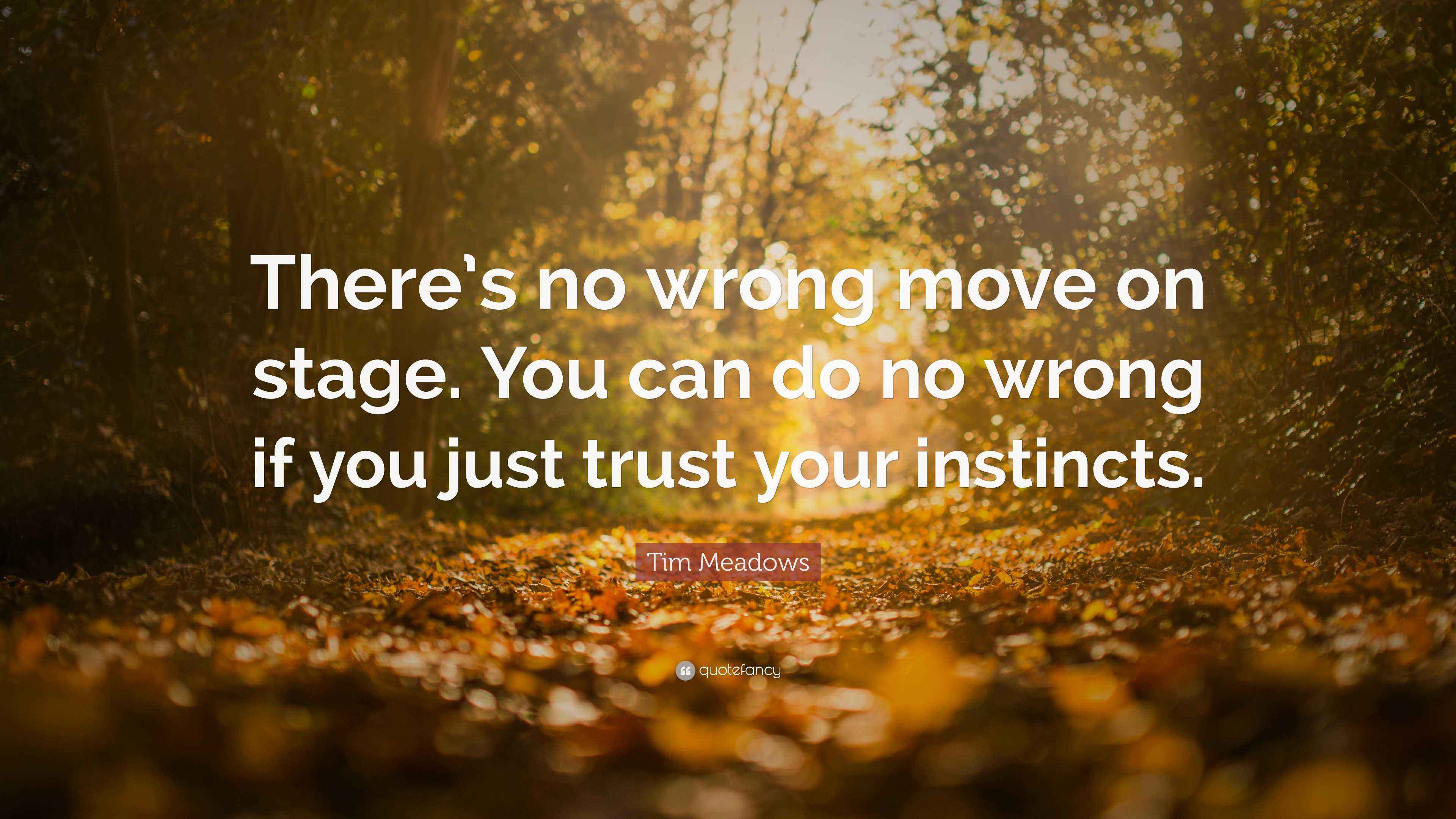 Tim Meadows Quote: “There’s no wrong move on stage. You can do no wrong ...
