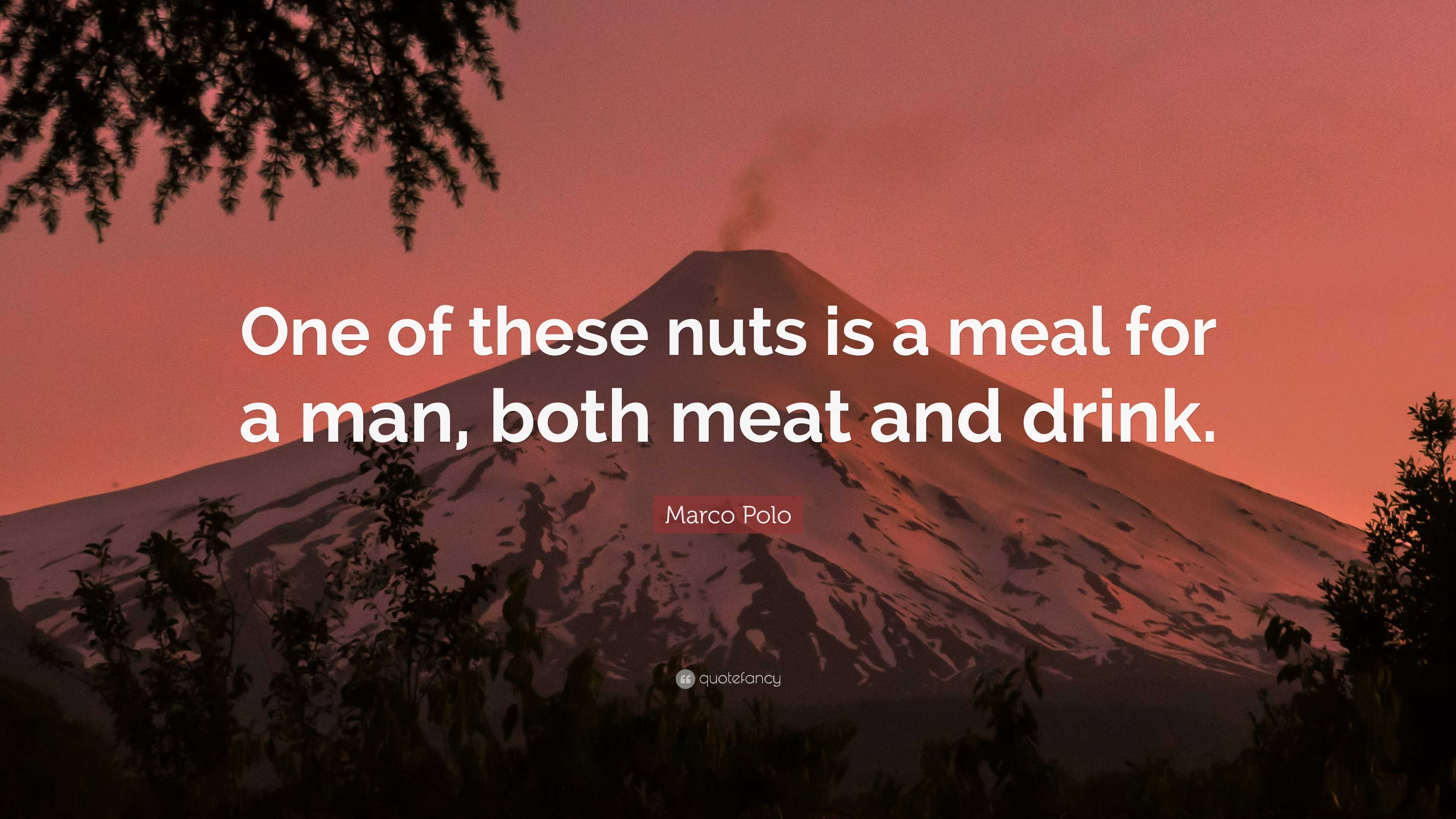 Marco Polo Quote: “One of these nuts is a meal for a man, both meat and ...