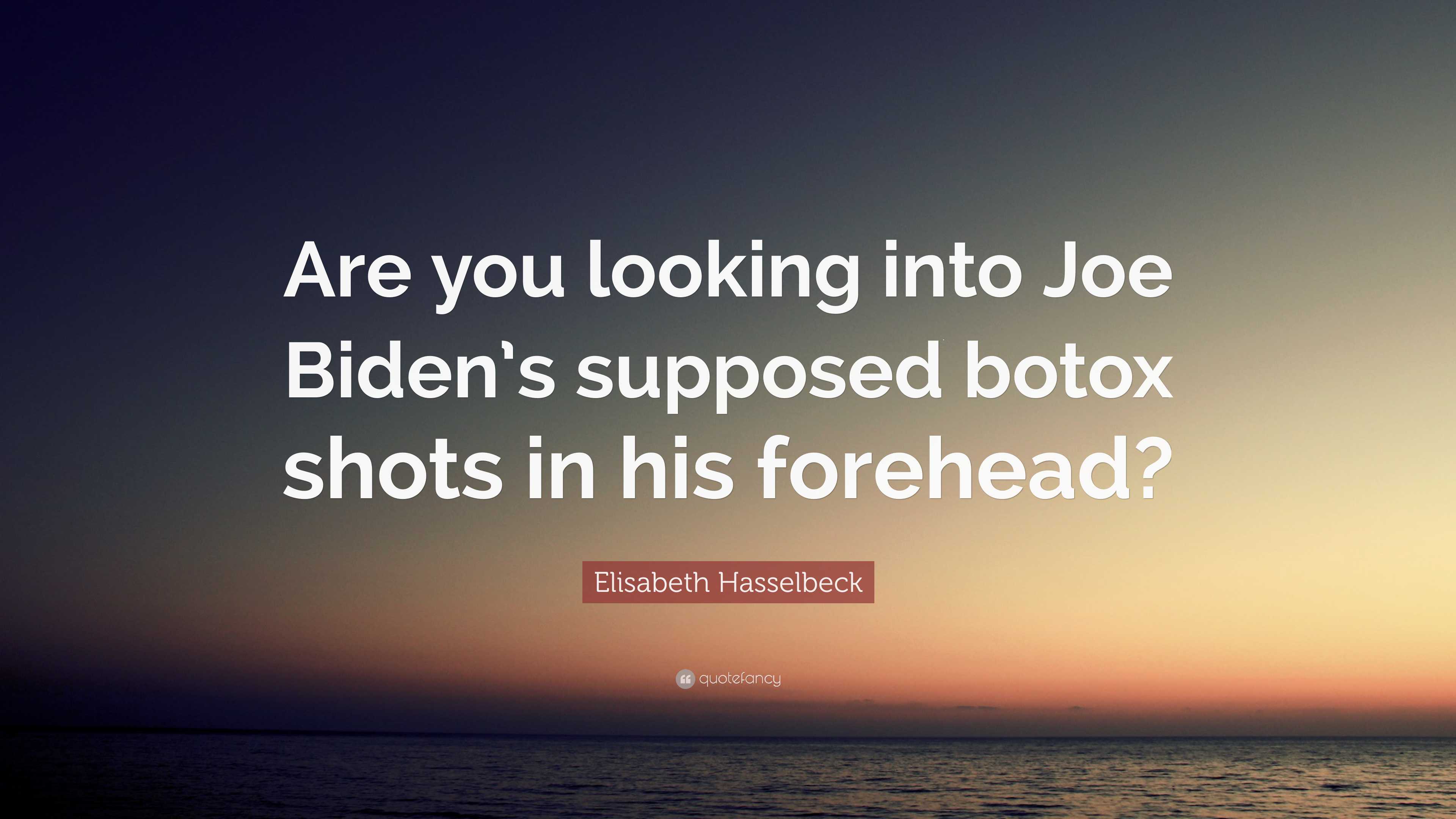 Elisabeth Hasselbeck Quote: “Are you looking into Joe Biden’s supposed ...