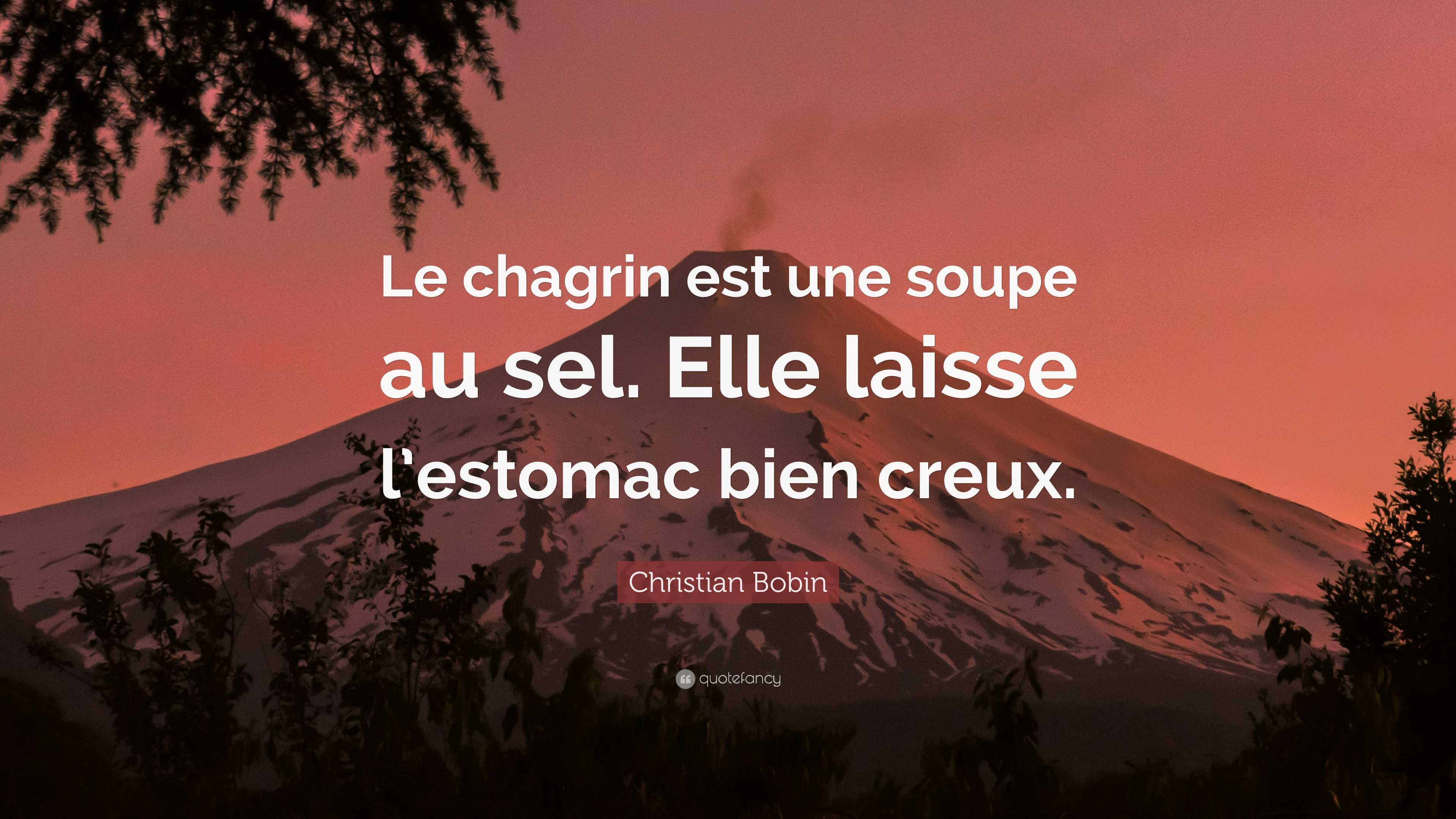 Christian Bobin Quote: “Le chagrin est une soupe au sel. Elle laisse l ...