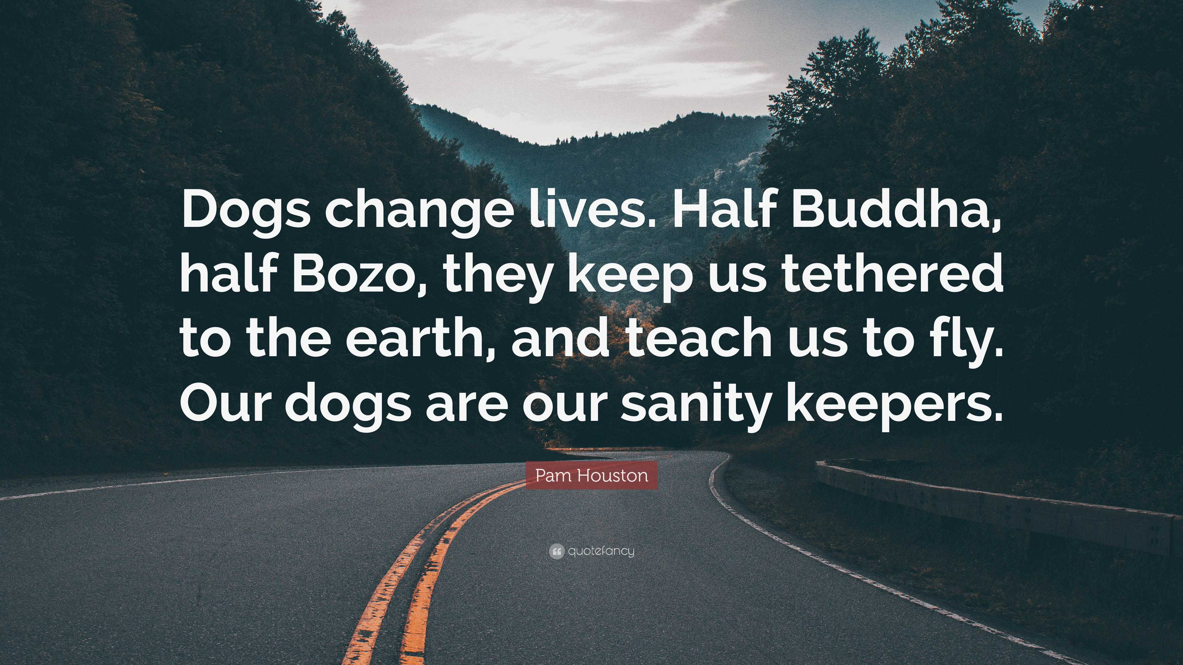 Pam Houston Quote: “Dogs change lives. Half Buddha, half Bozo, they ...