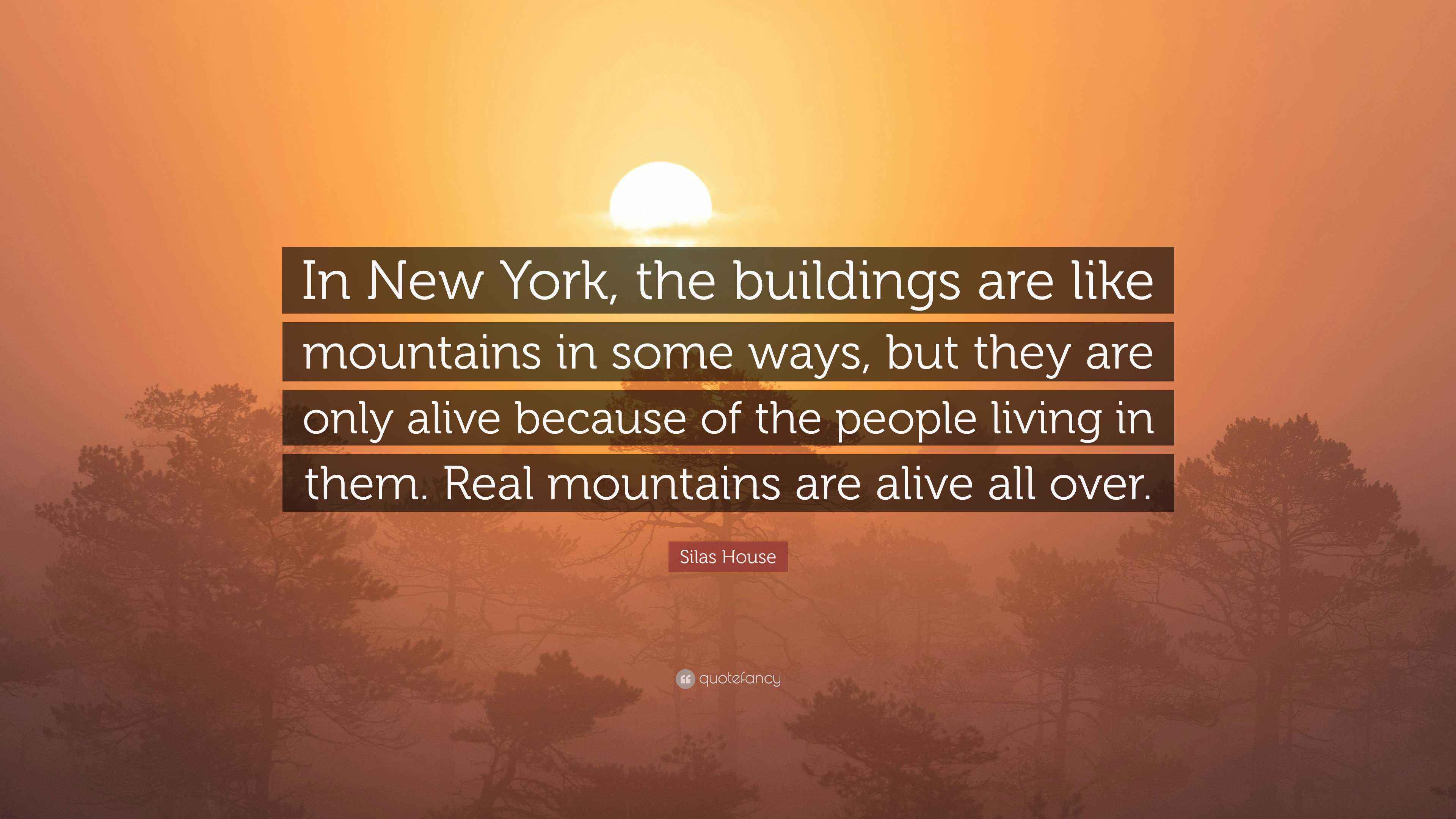 Silas House Quote: “In New York, the buildings are like mountains in ...
