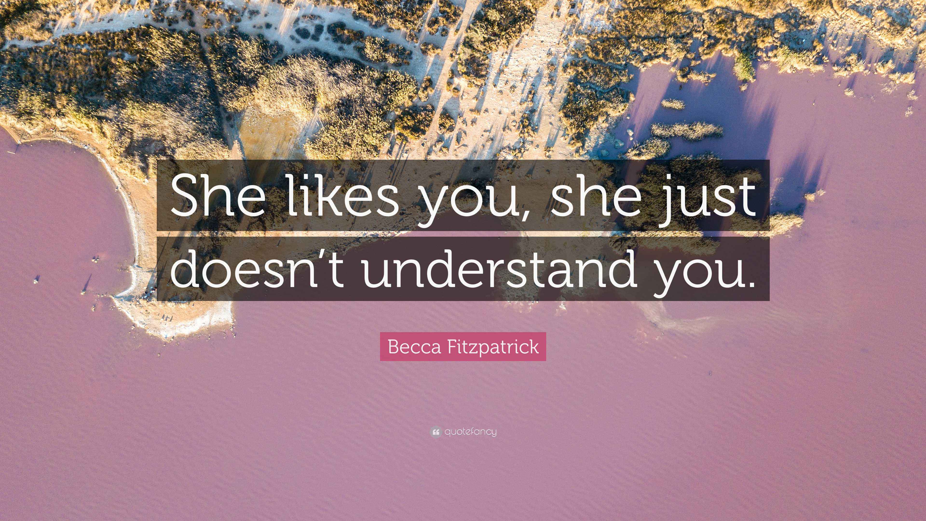 Becca Fitzpatrick Quote: “She likes you, she just doesn’t understand you.”