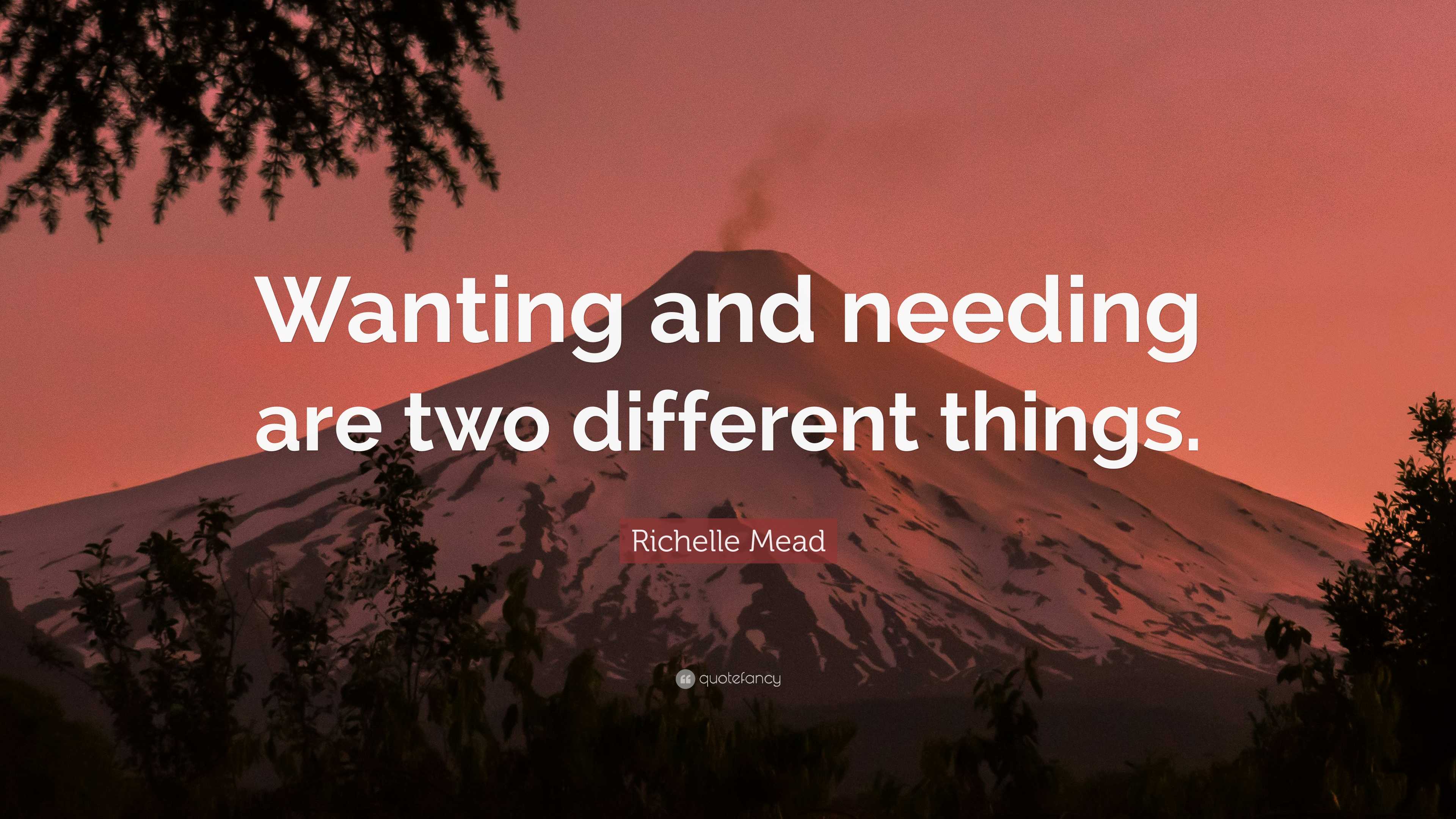 Richelle Mead Quote: “Wanting and needing are two different things.”