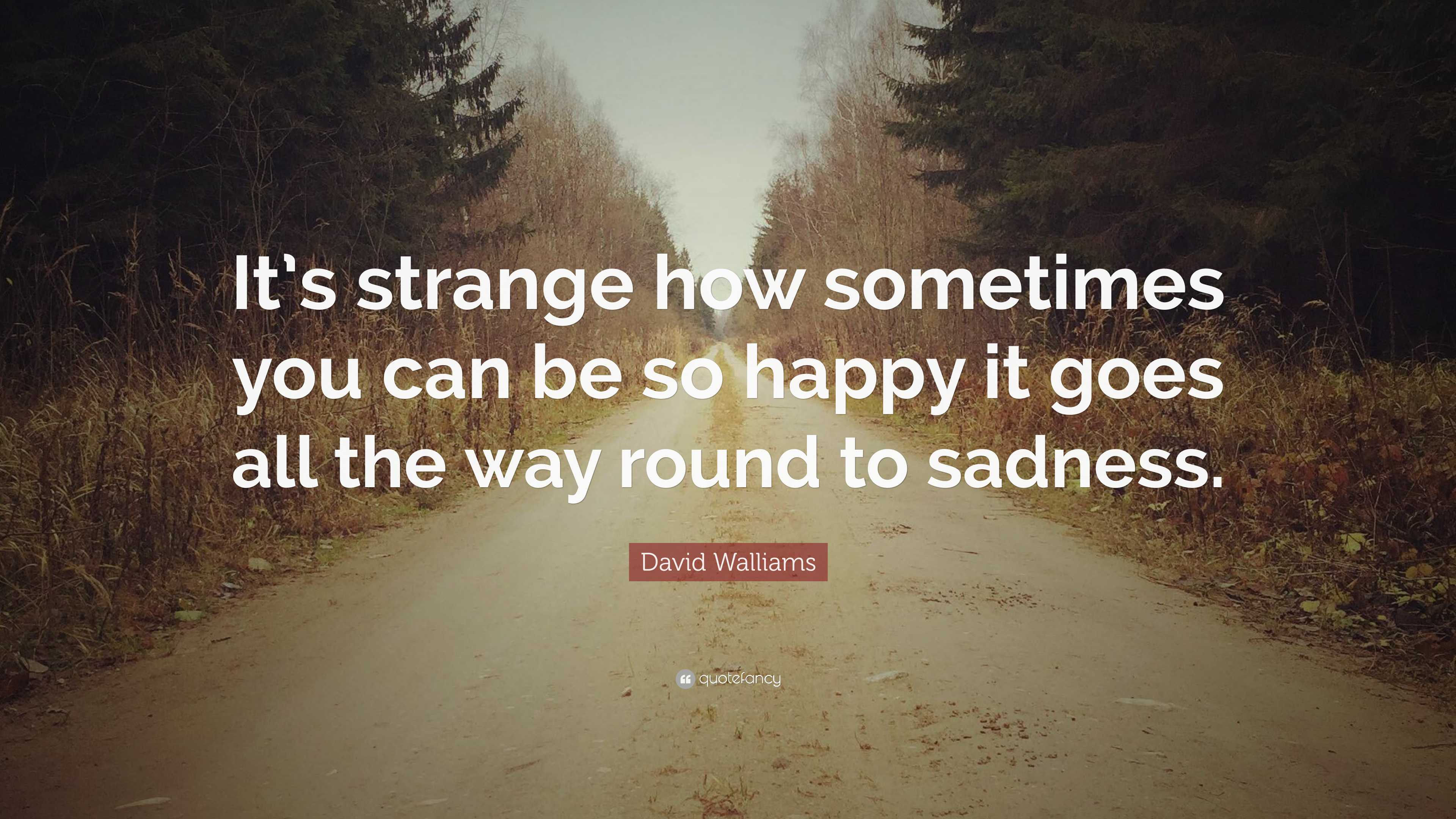 David Walliams Quote: “It’s strange how sometimes you can be so happy ...