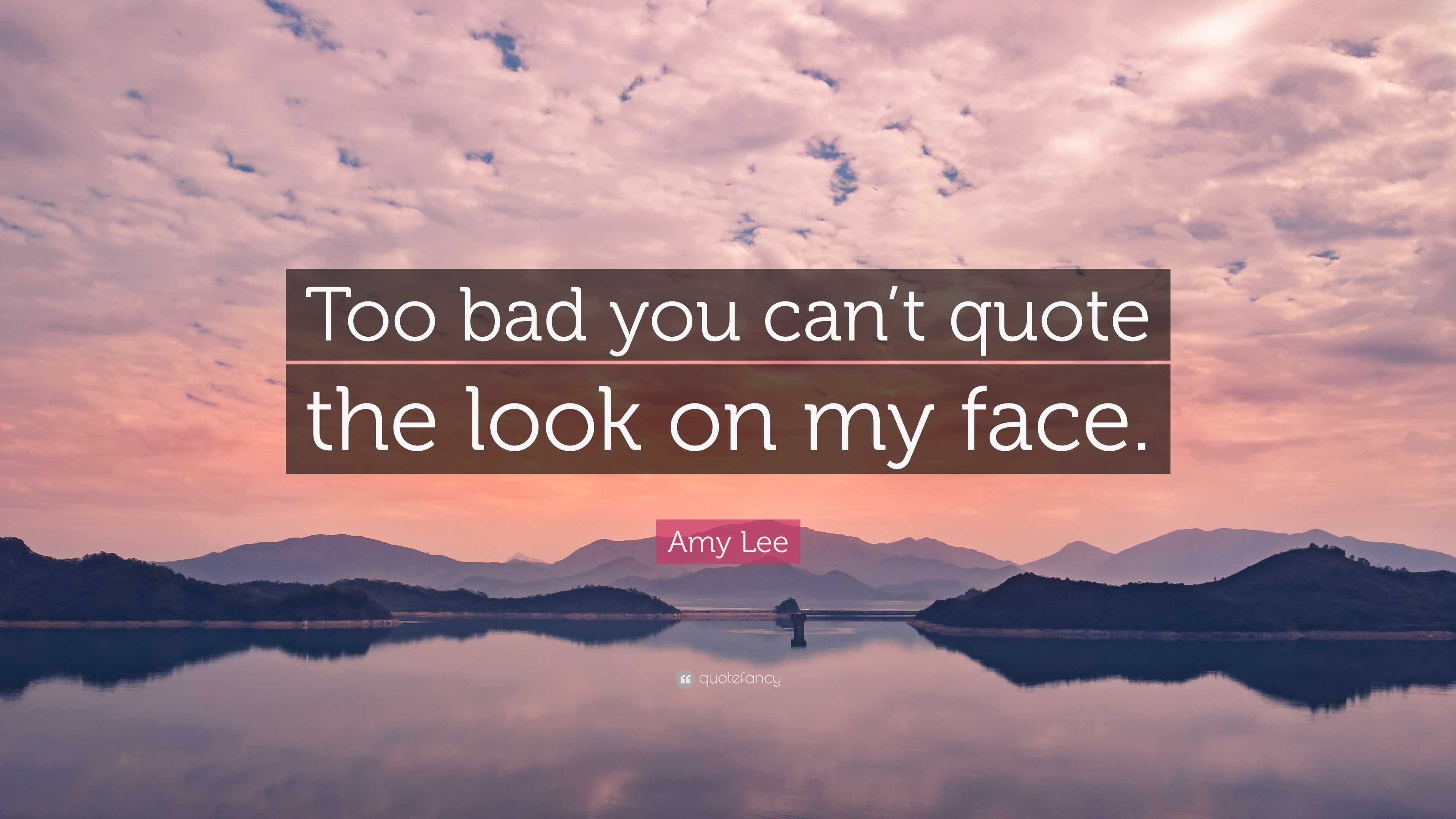 Amy Lee Quote: “Too bad you can’t quote the look on my face.”