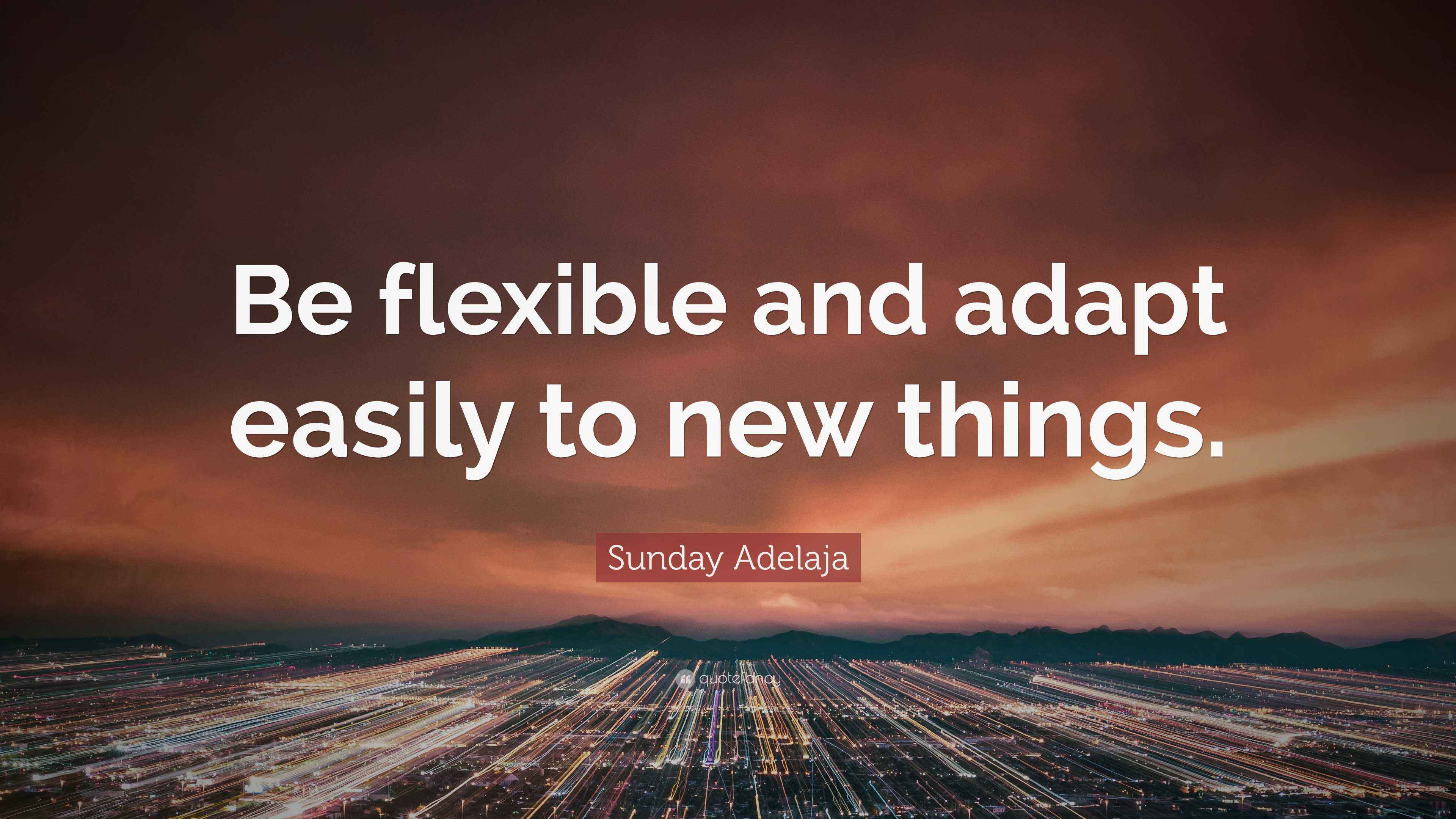 Sunday Adelaja Quote: “Be flexible and adapt easily to new things.”
