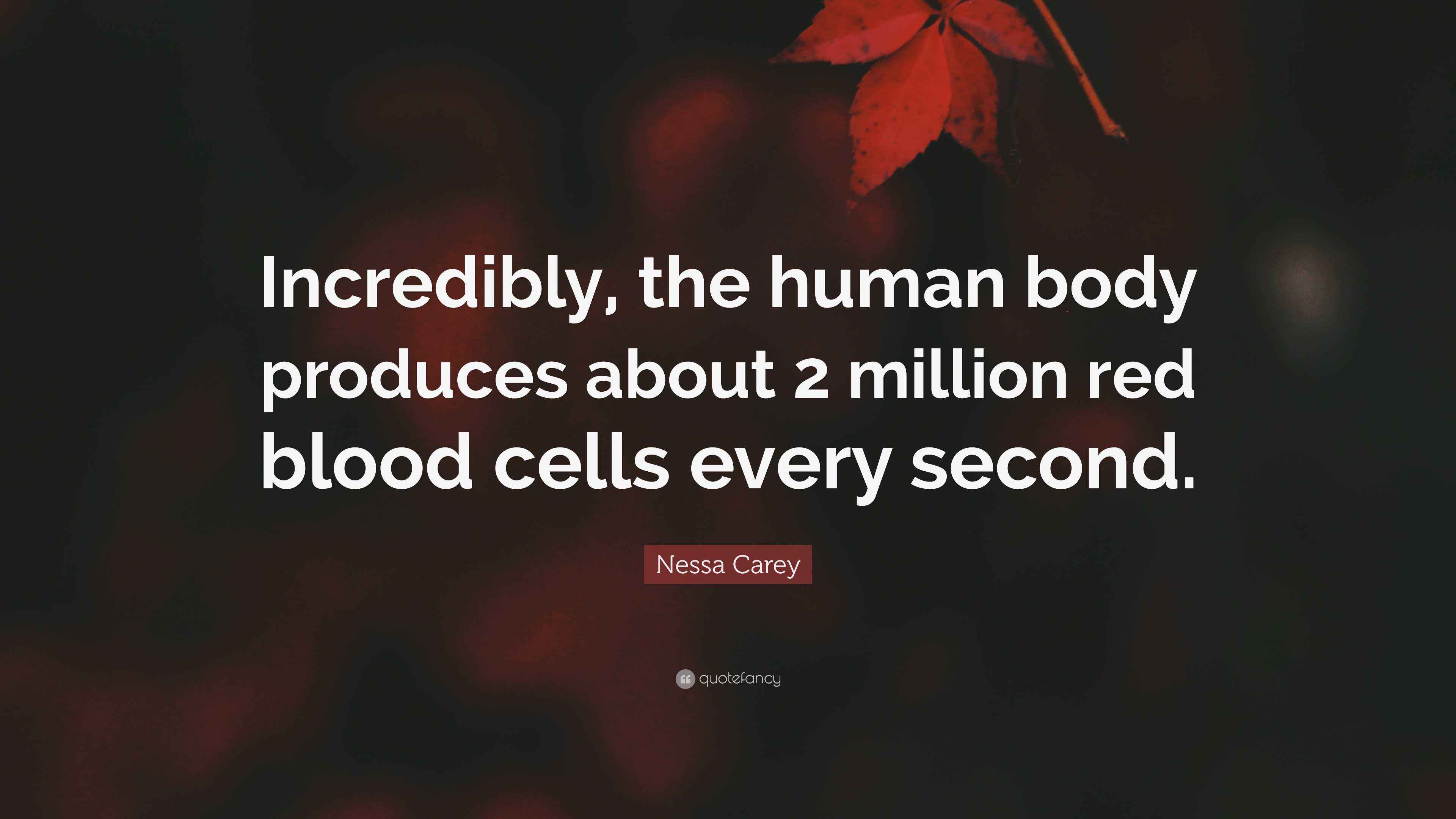 Red Blood Quotes