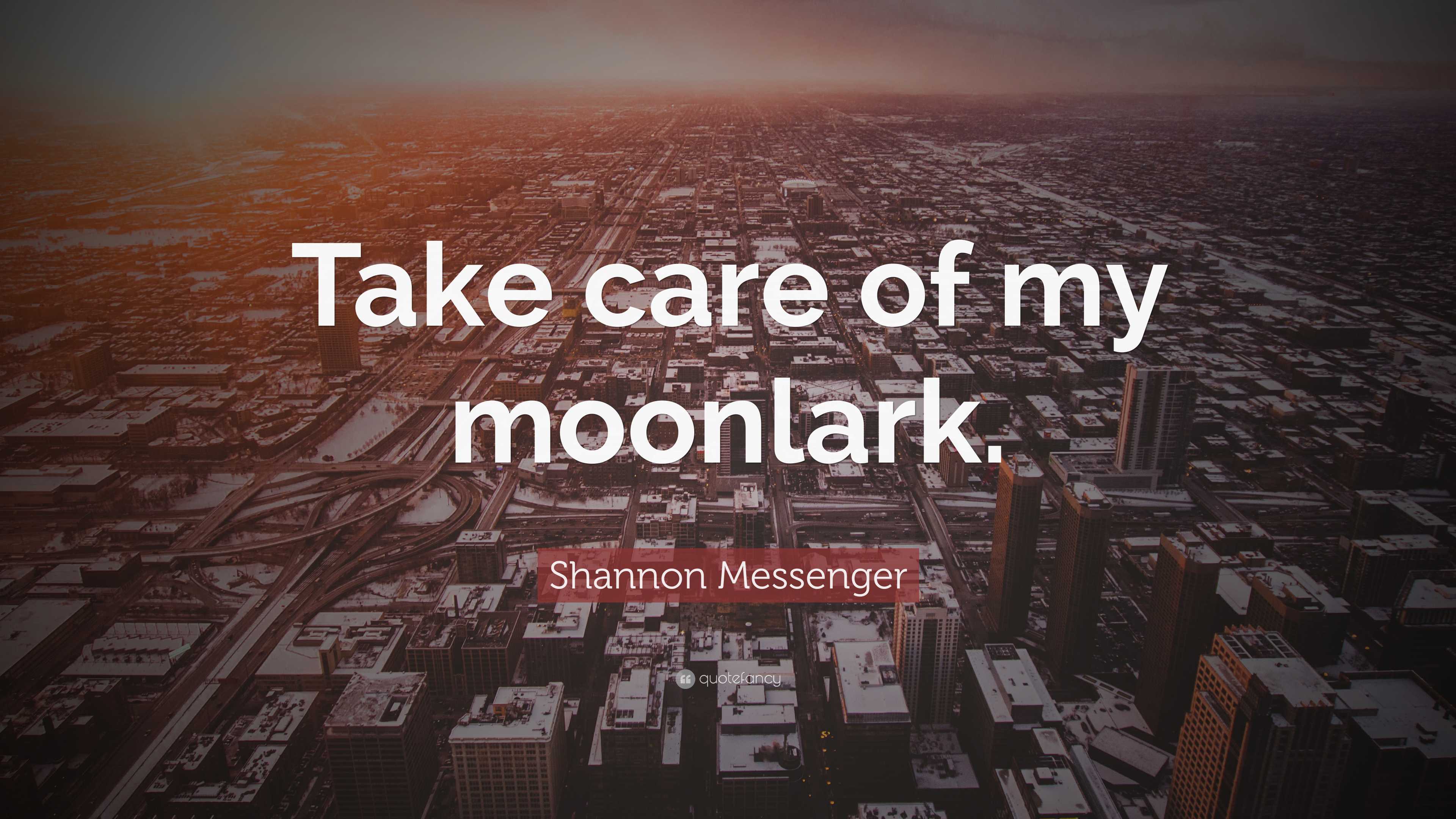 Shannon Messenger Quote: “Take care of my moonlark.”