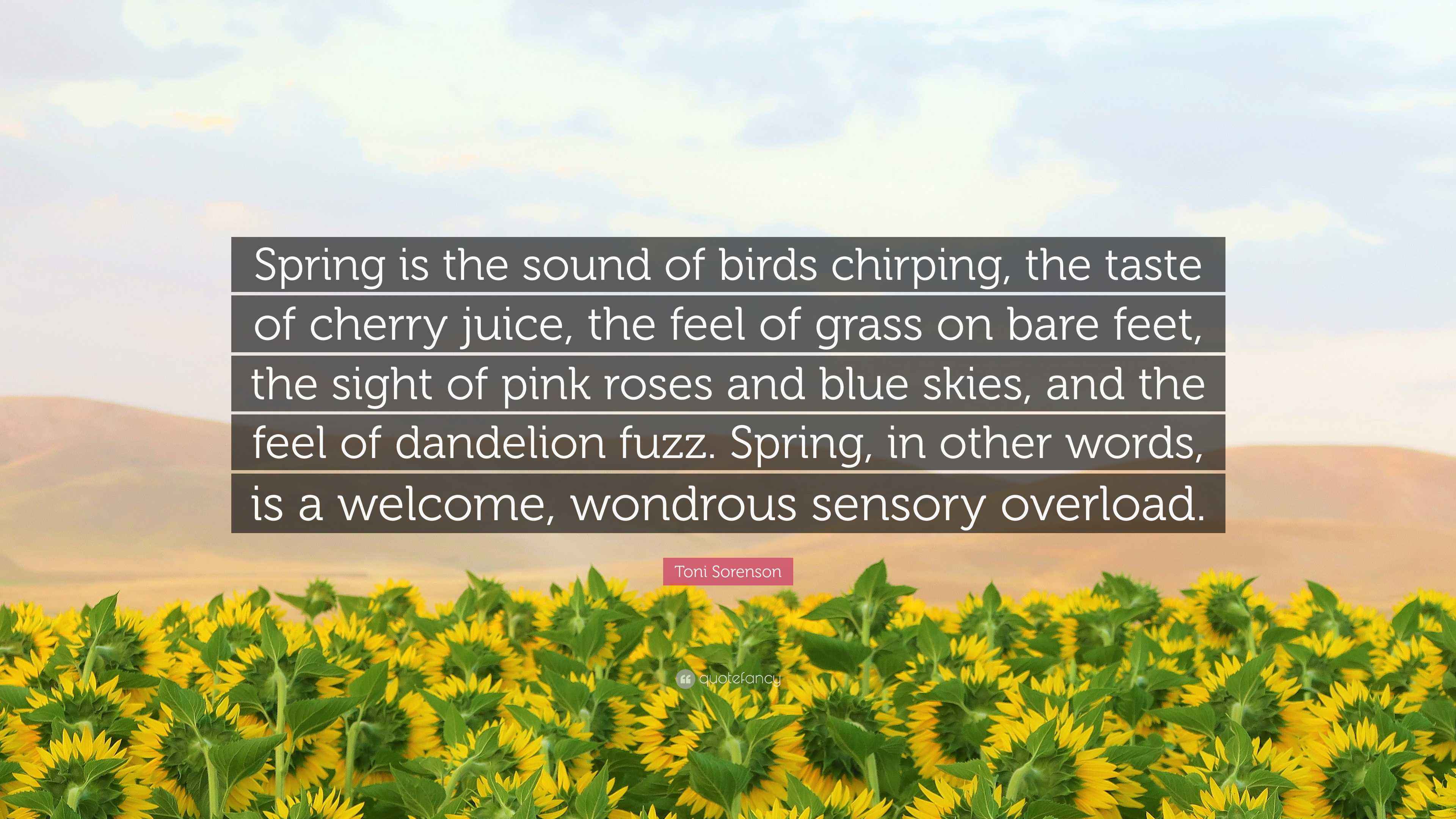 Toni Sorenson Quote: “Spring is the sound of birds chirping, the taste ...