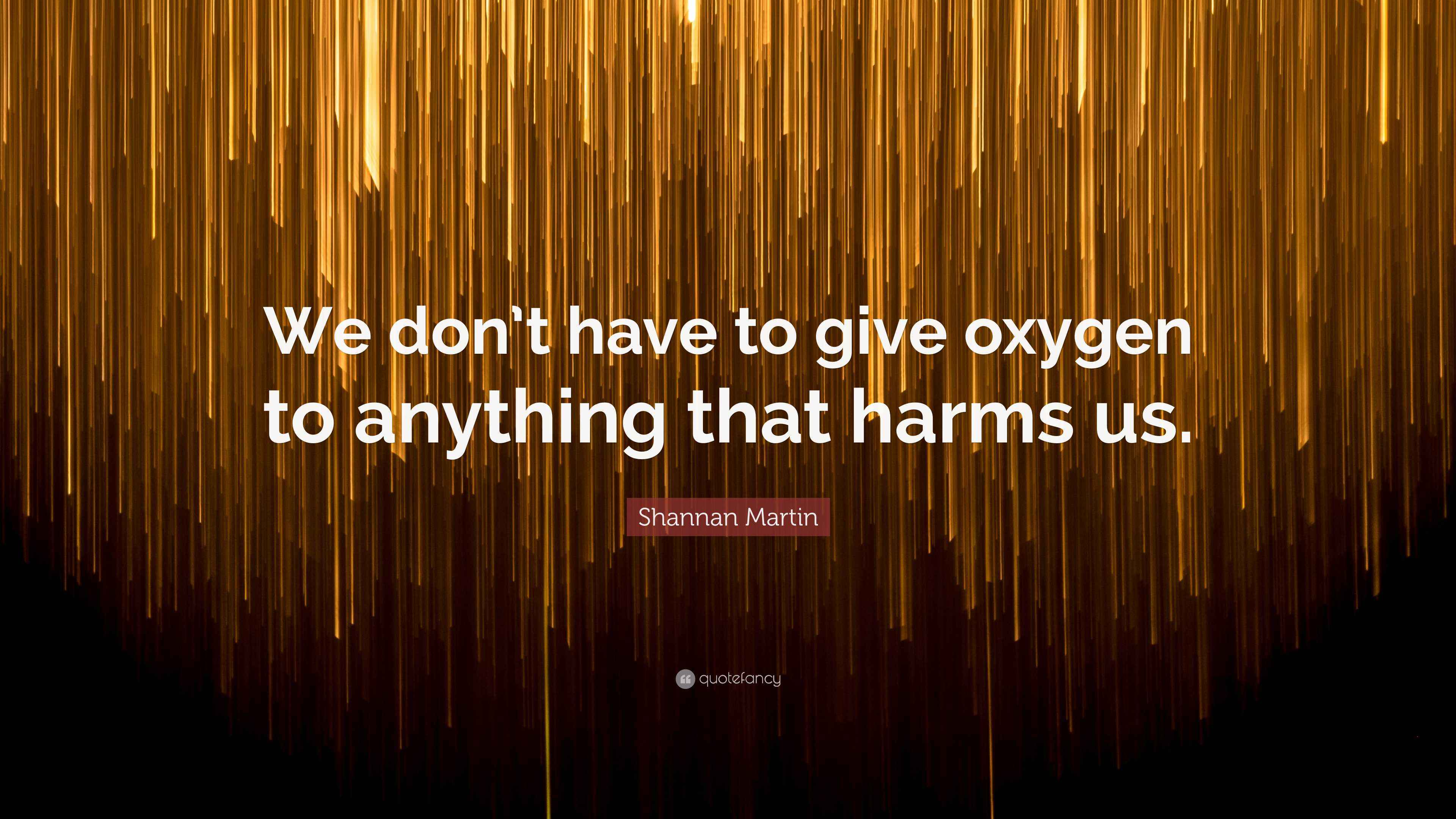 Shannan Martin Quote: “We don’t have to give oxygen to anything that ...