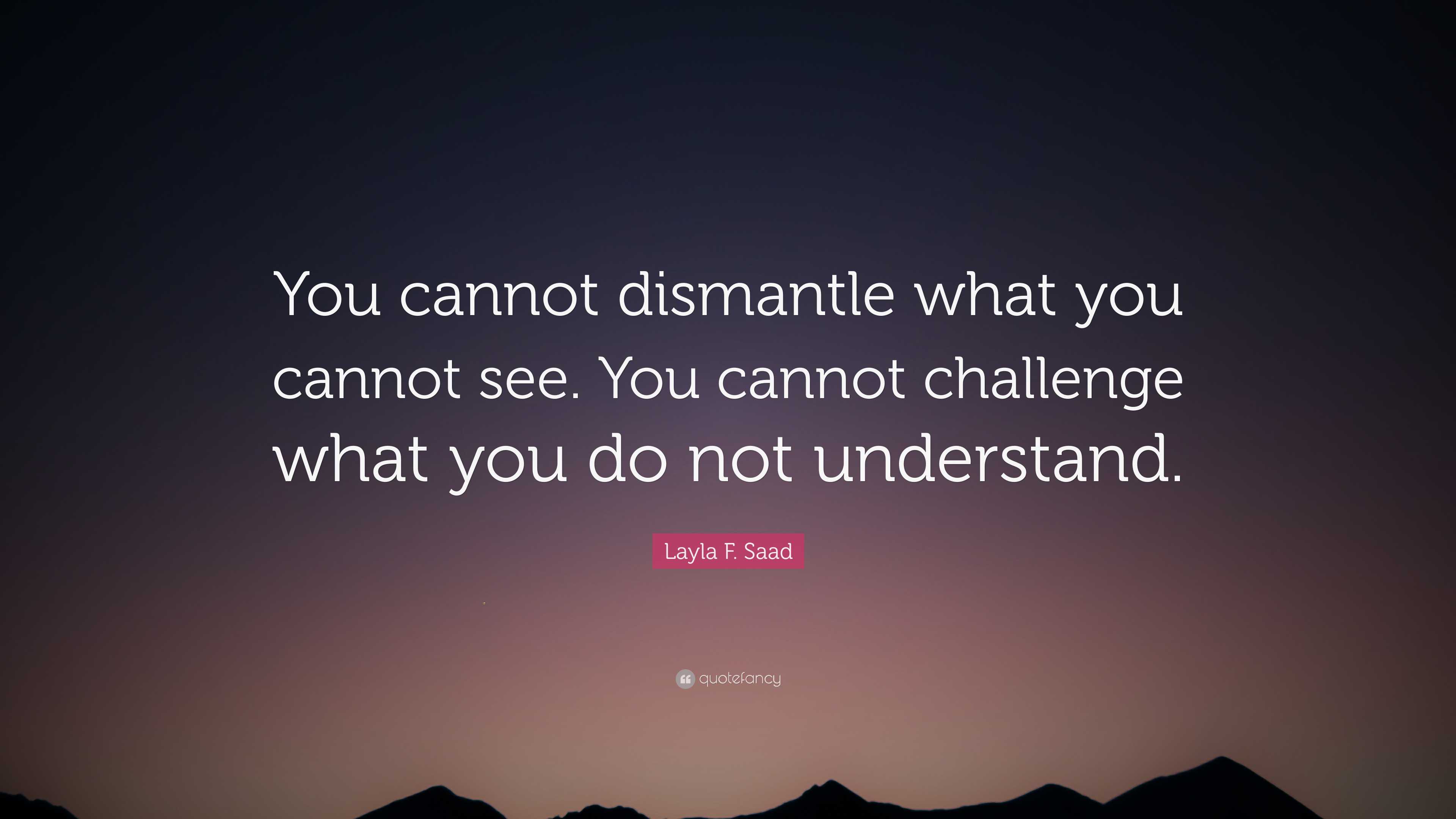 Layla F. Saad Quote: “You cannot dismantle what you cannot see. You ...