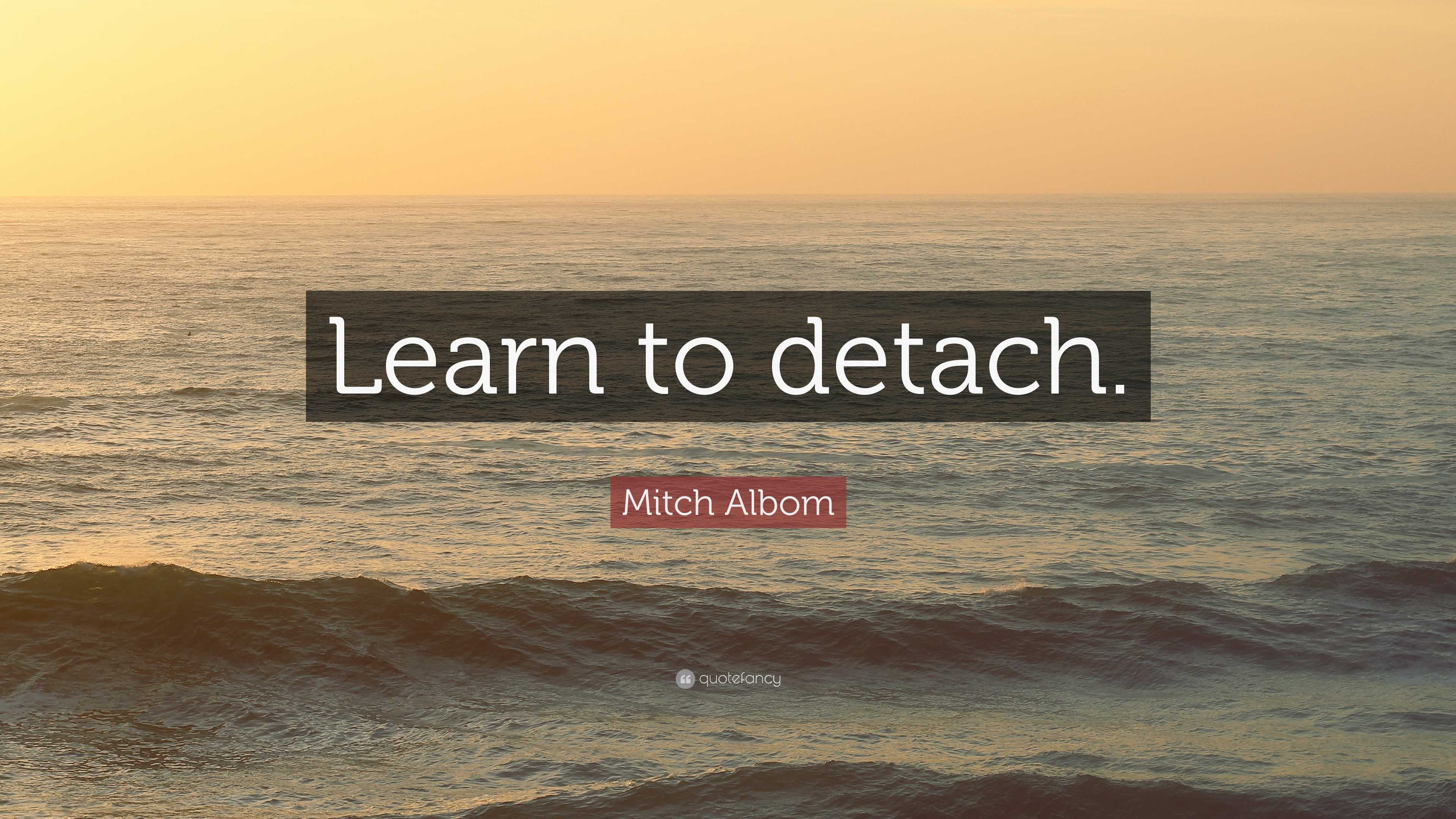 Mitch Albom Quote: “Learn to detach.”