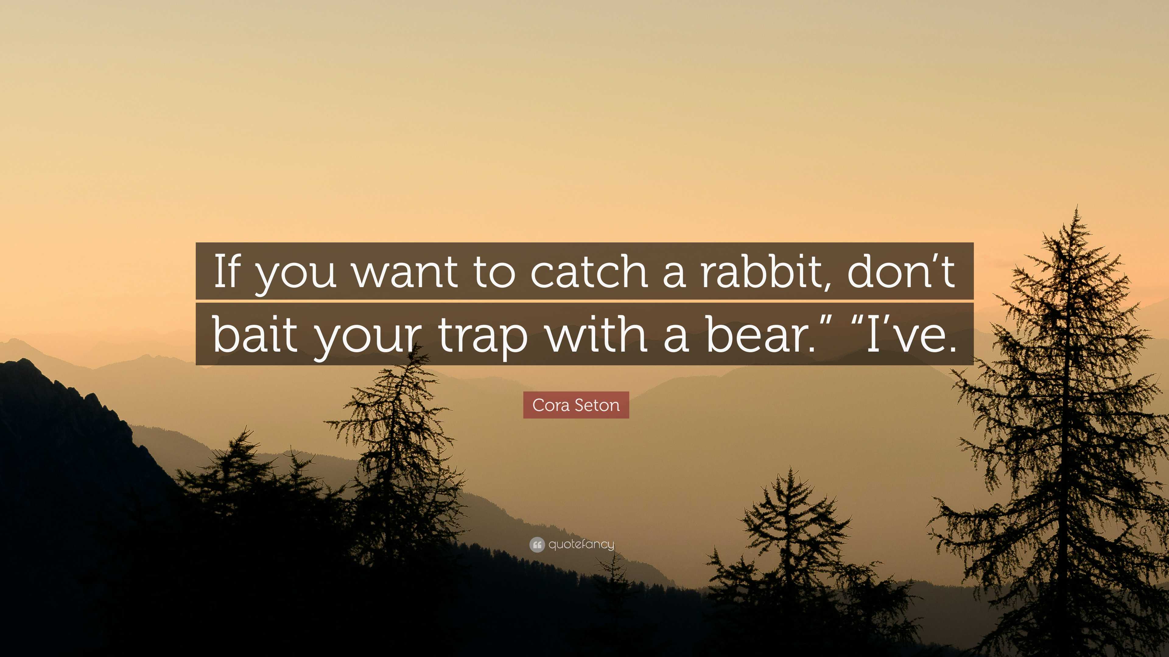 Cora Seton Quote: “If you want to catch a rabbit, don’t bait your trap ...