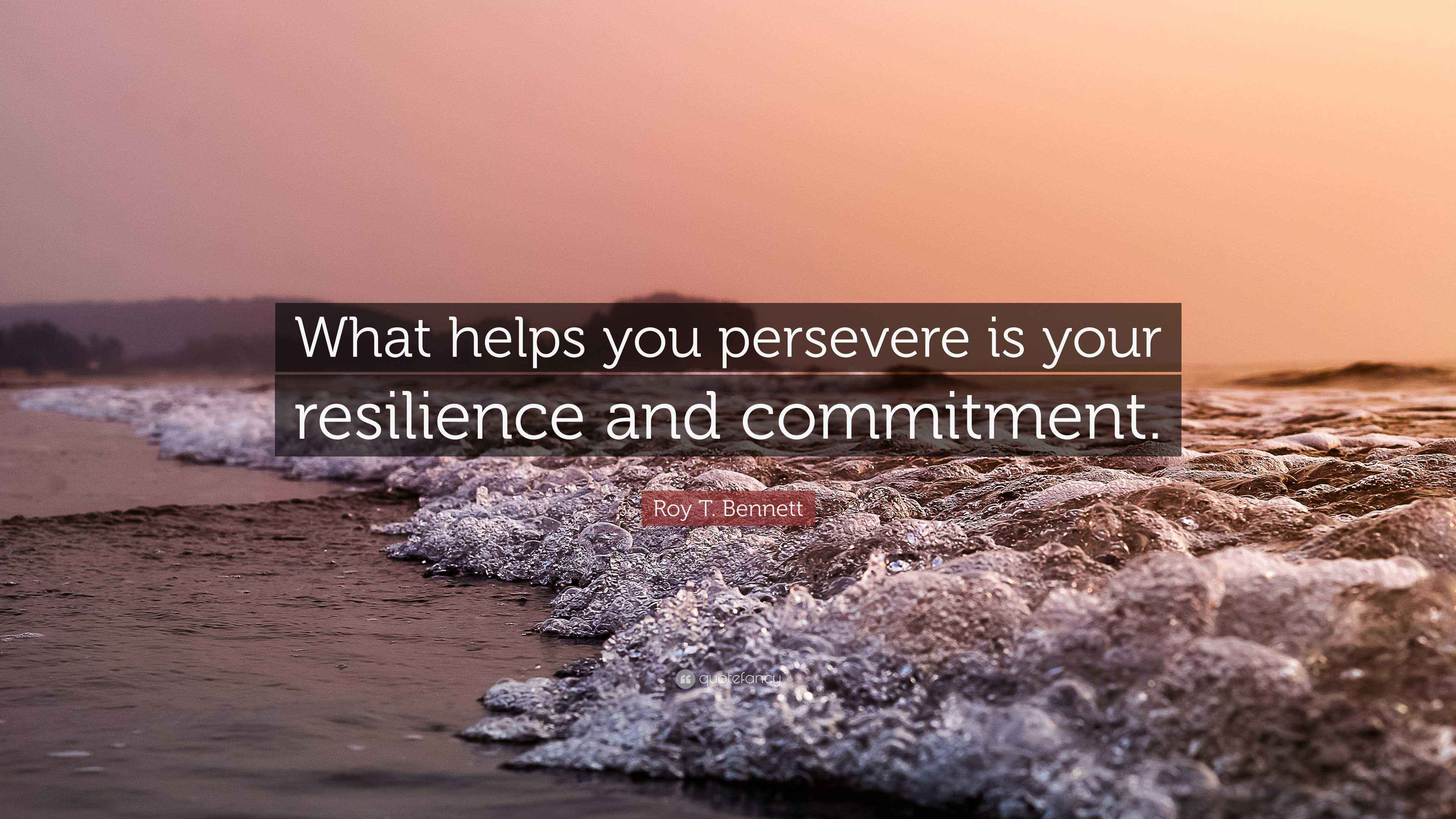 Roy T. Bennett Quote: “What helps you persevere is your resilience and ...