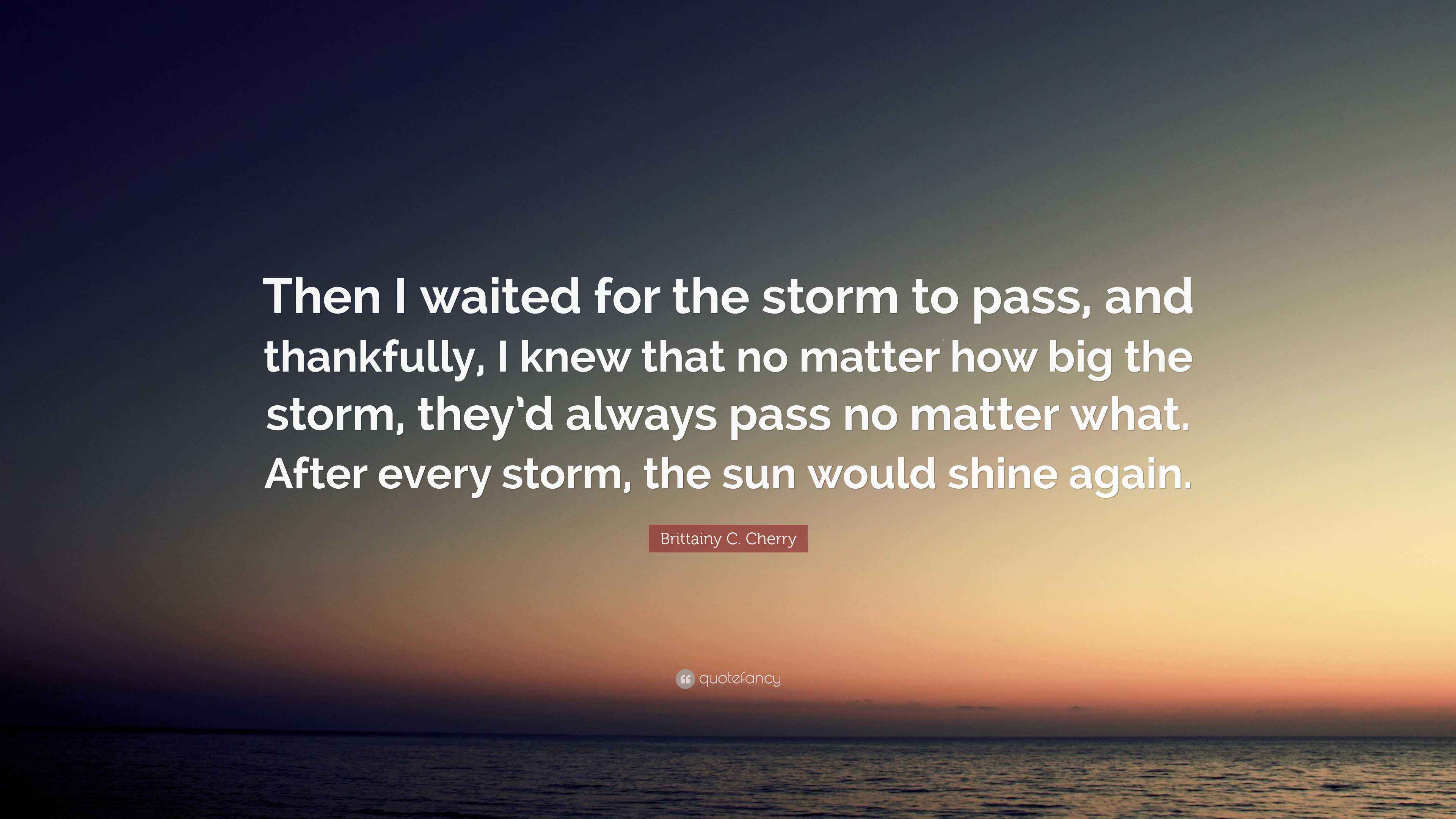 Brittainy C. Cherry Quote: “Then I waited for the storm to pass, and ...