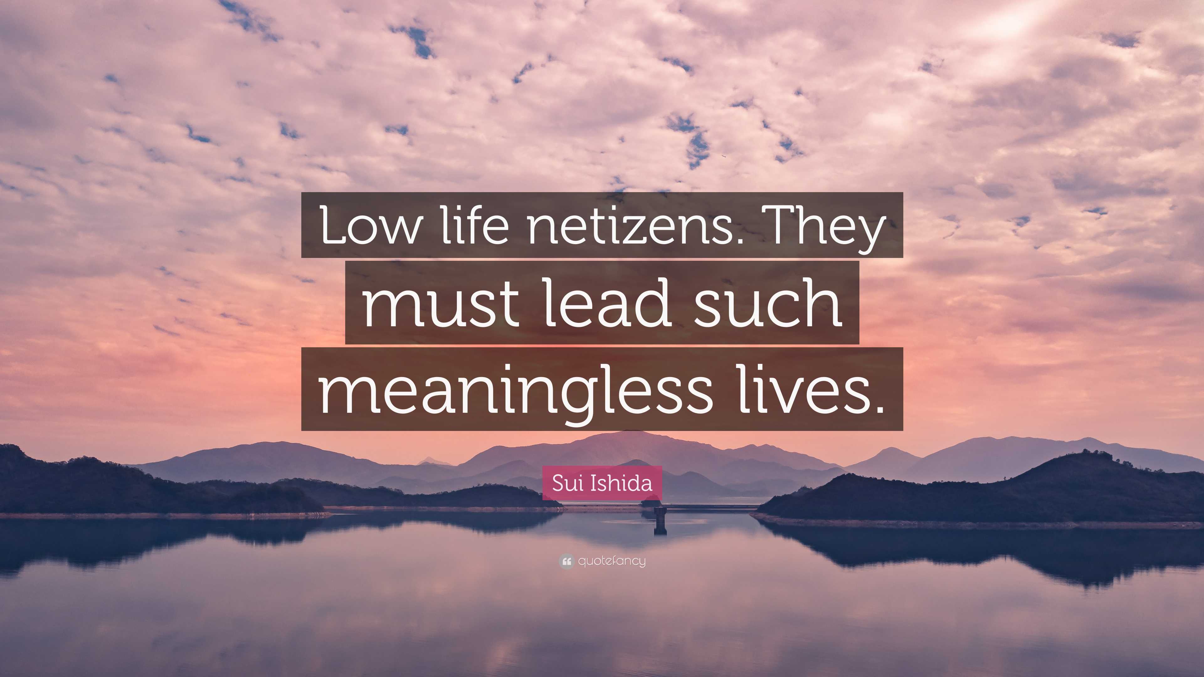 Sui Ishida Quote: “Low life netizens. They must lead such meaningless ...