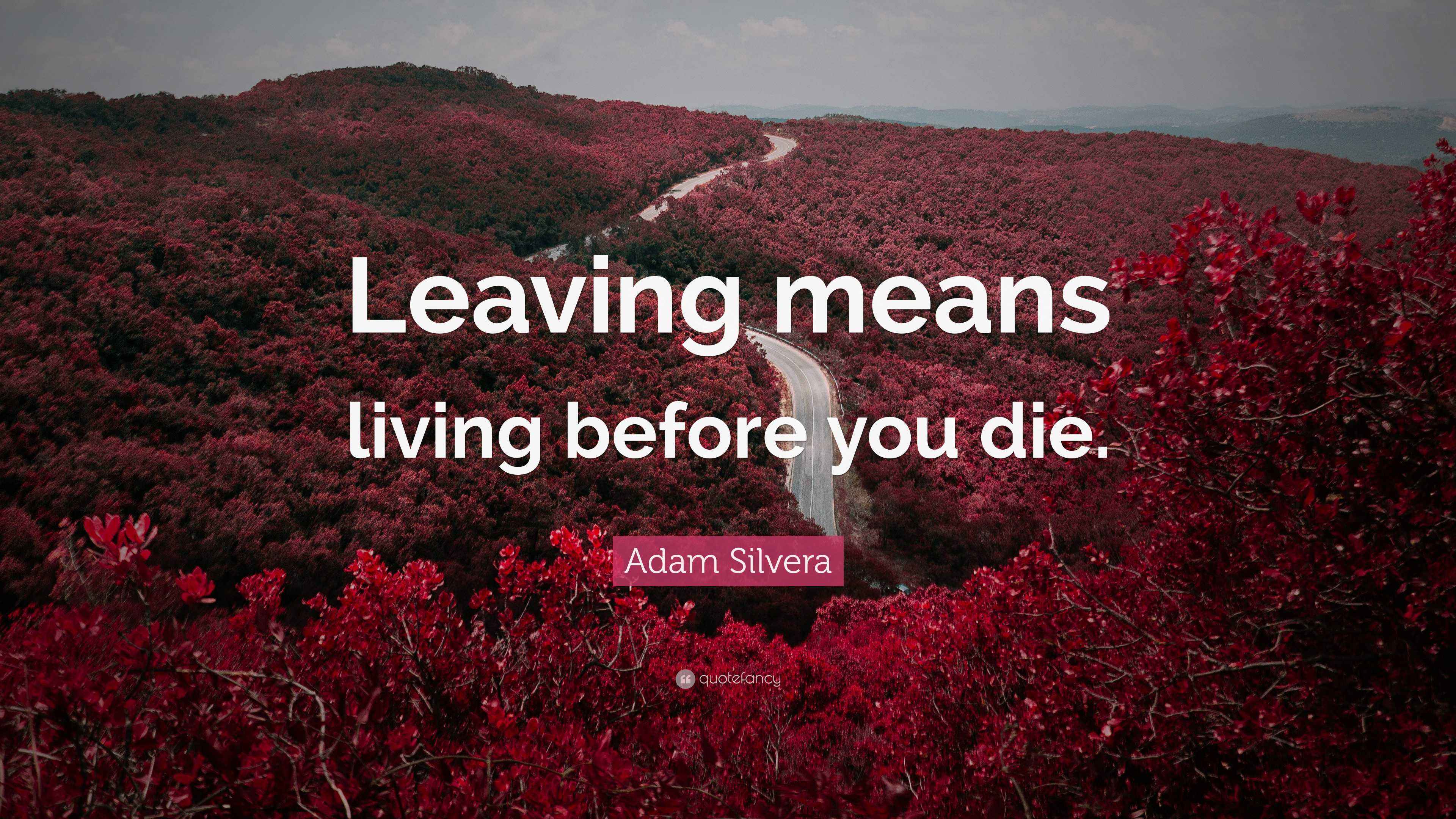 Adam Silvera Quote: “Leaving means living before you die.”