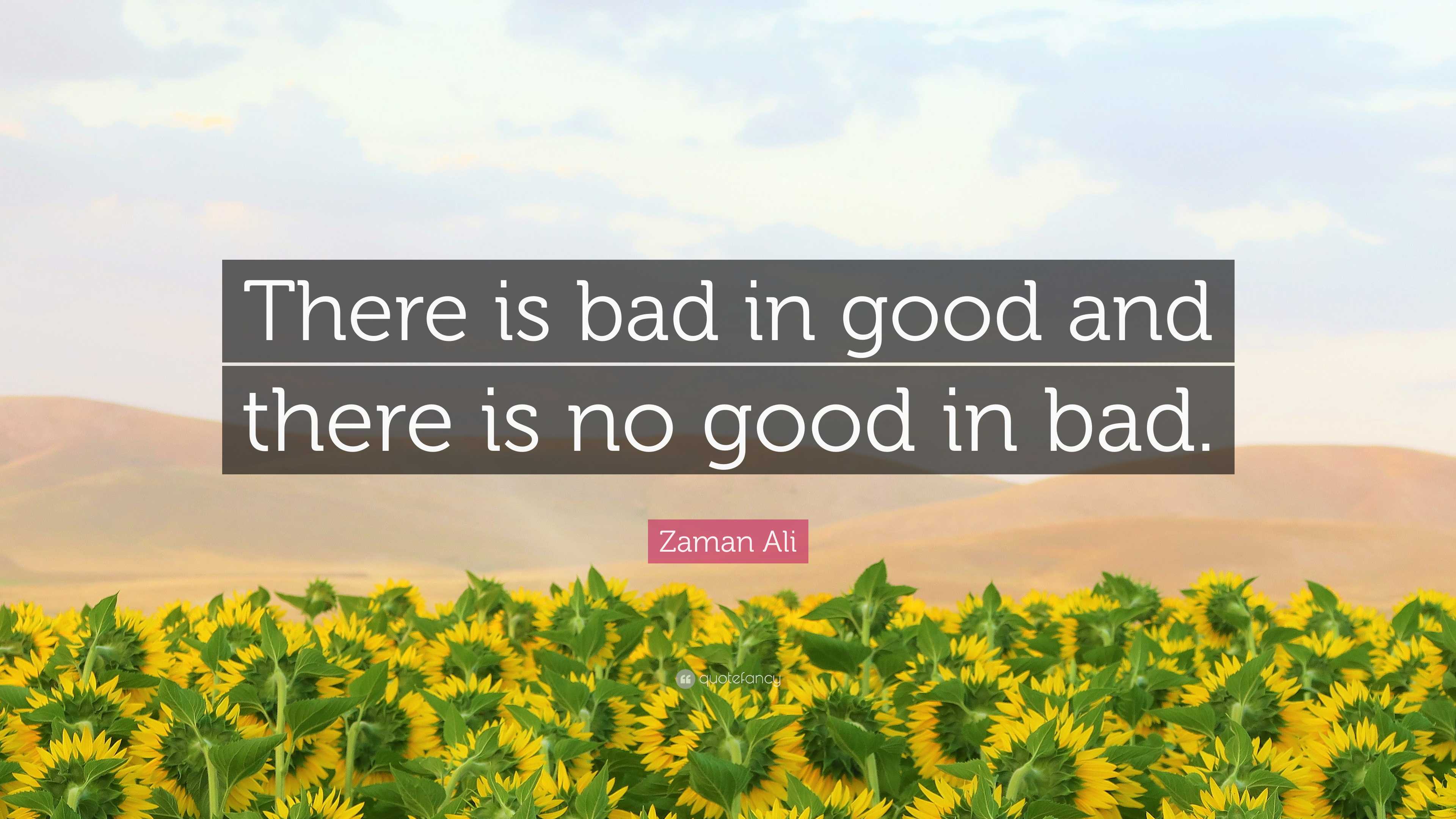 Zaman Ali Quote: “There is bad in good and there is no good in bad.”