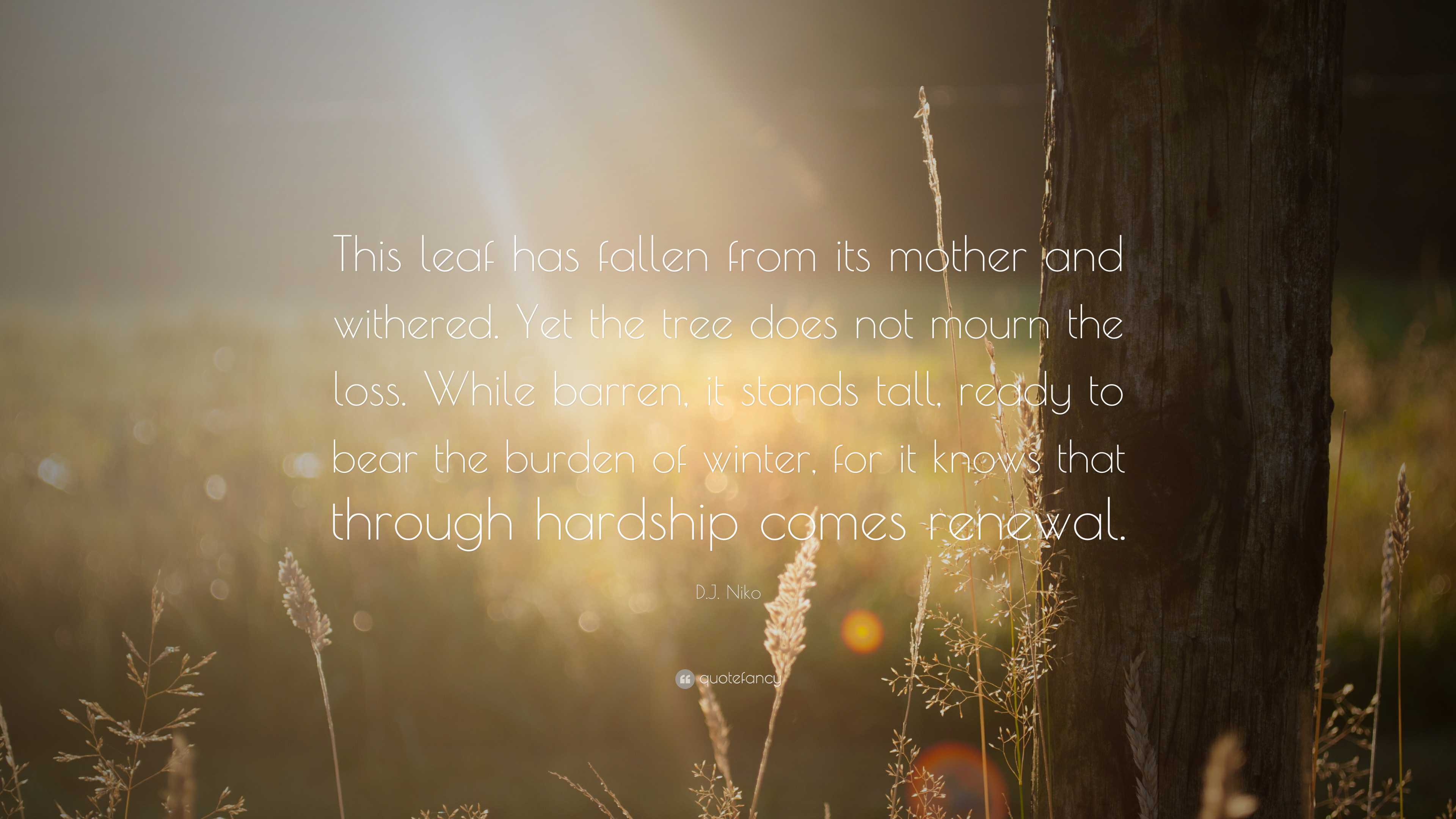D.J. Niko Quote: “This leaf has fallen from its mother and withered ...