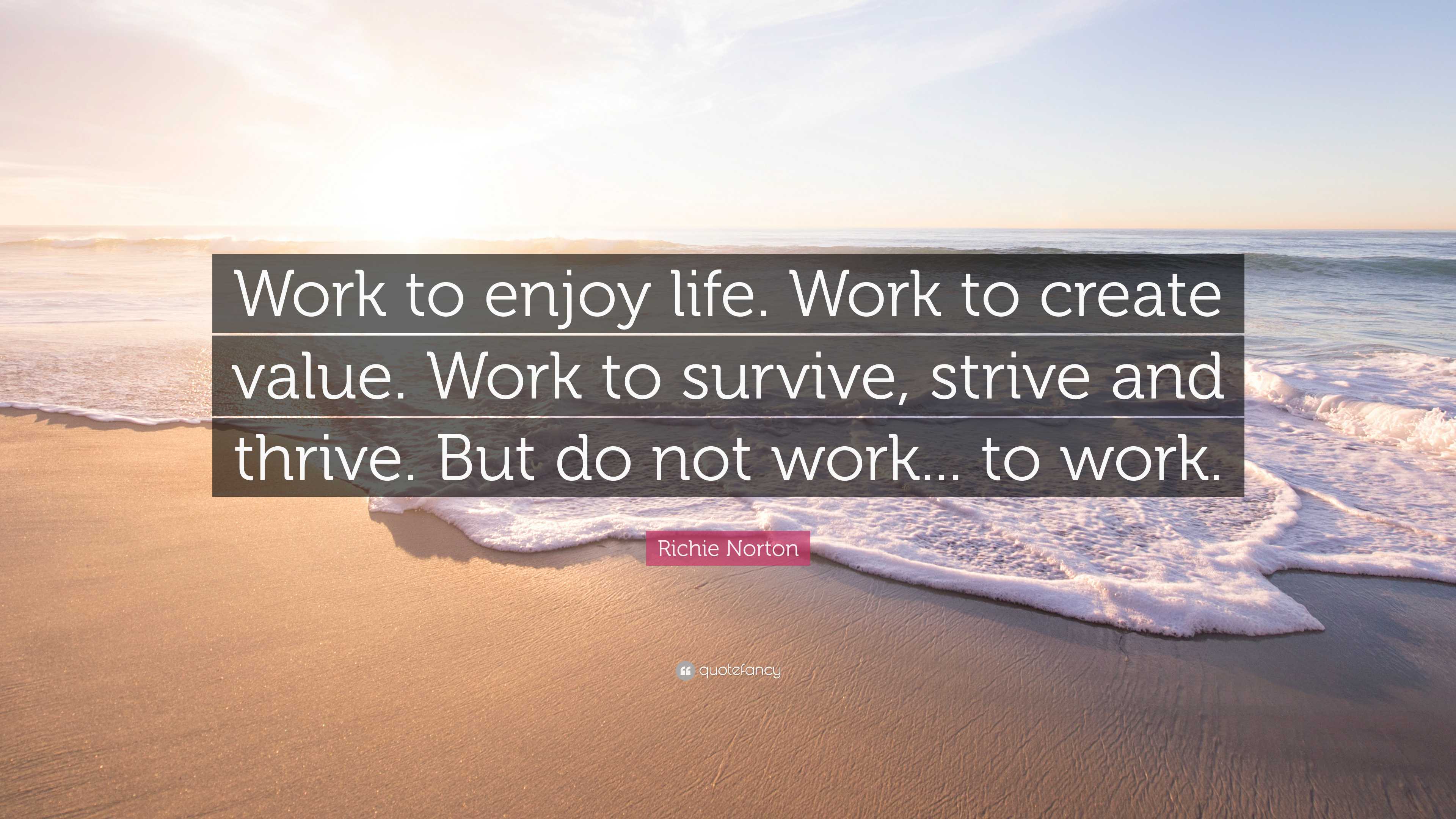 Richie Norton Quote: “Work to enjoy life. Work to create value. Work to ...
