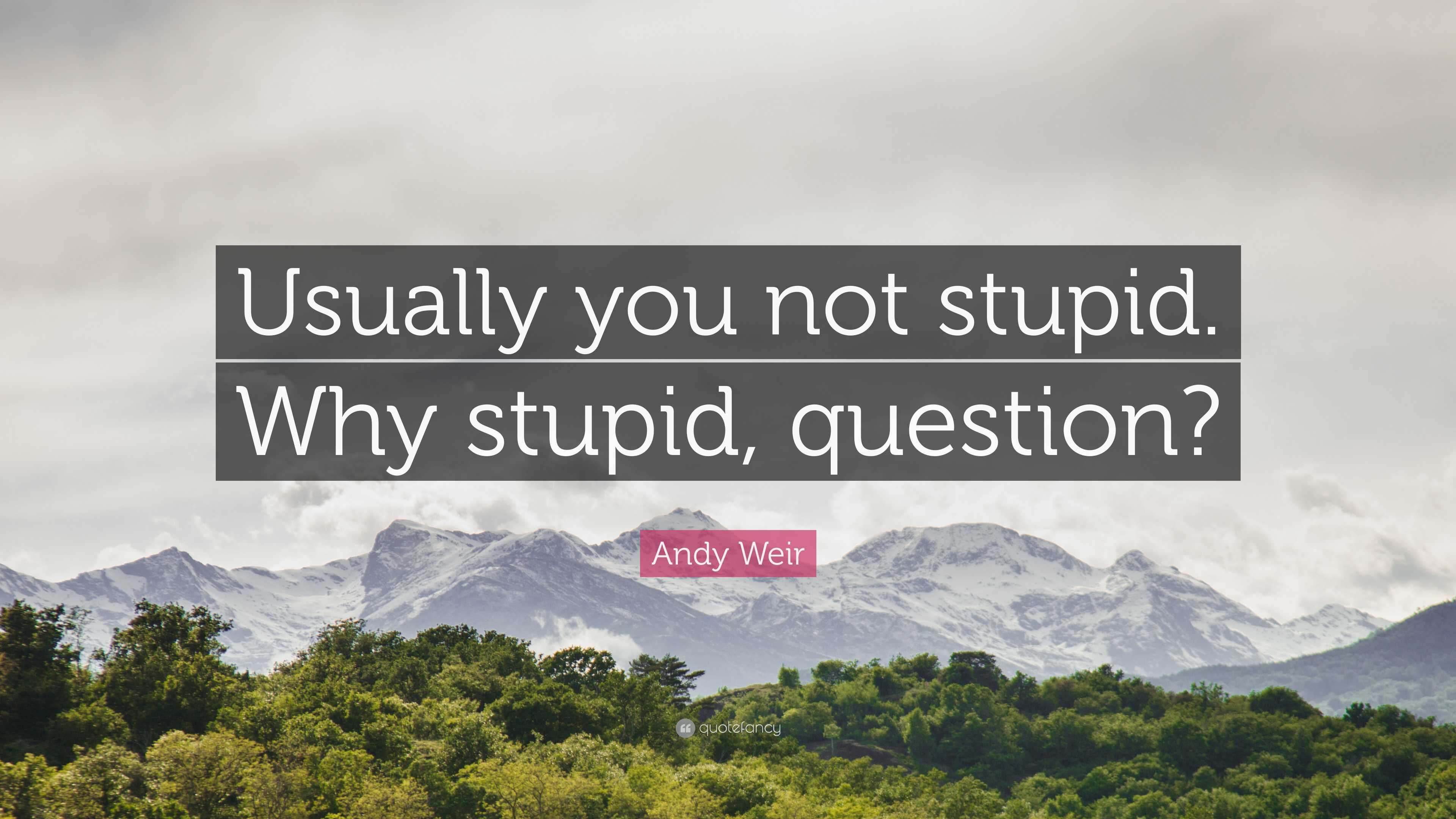 Andy Weir Quote: “Usually you not stupid. Why stupid, question?”