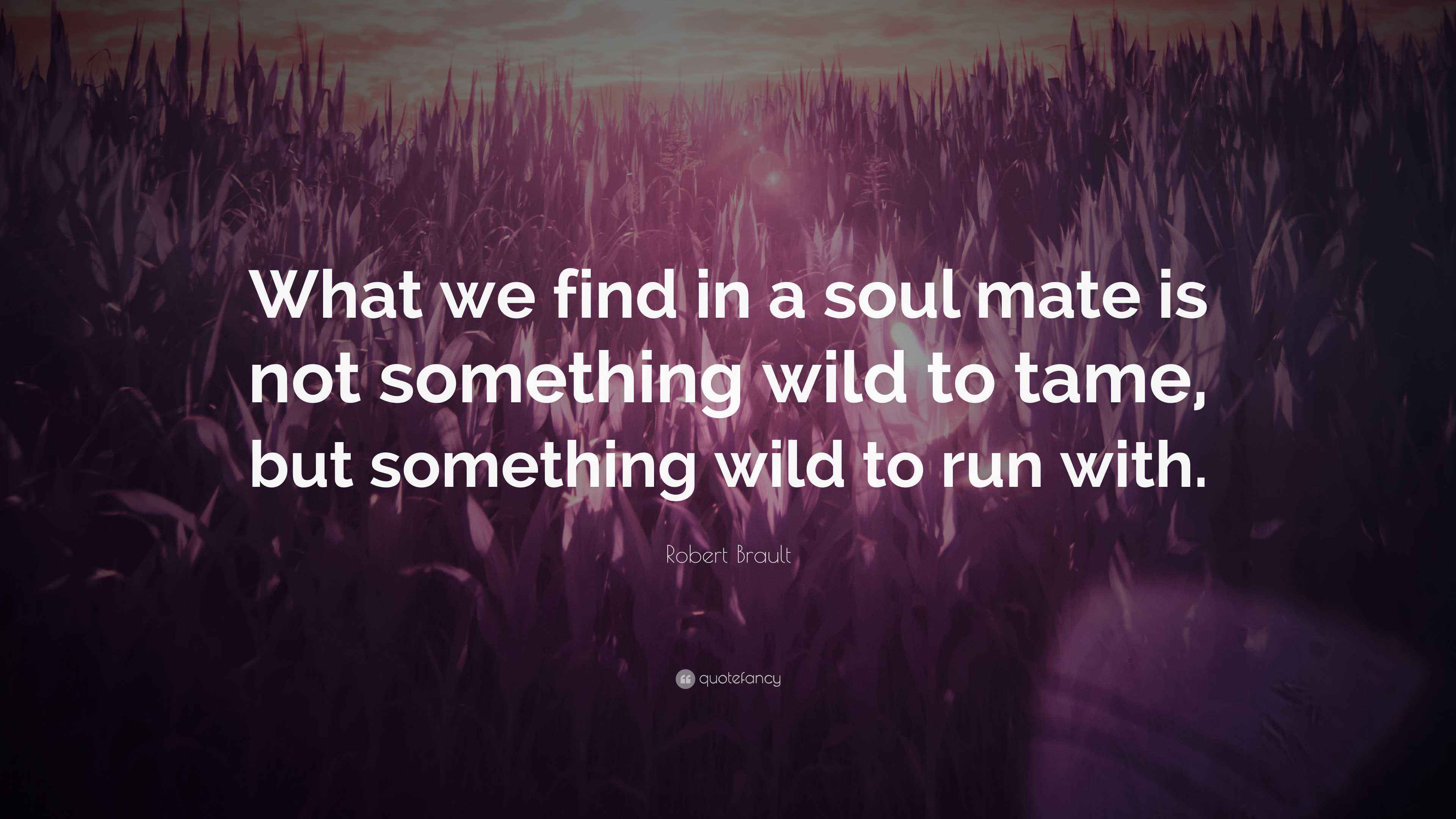 Robert Brault Quote: “What we find in a soul mate is not something wild ...