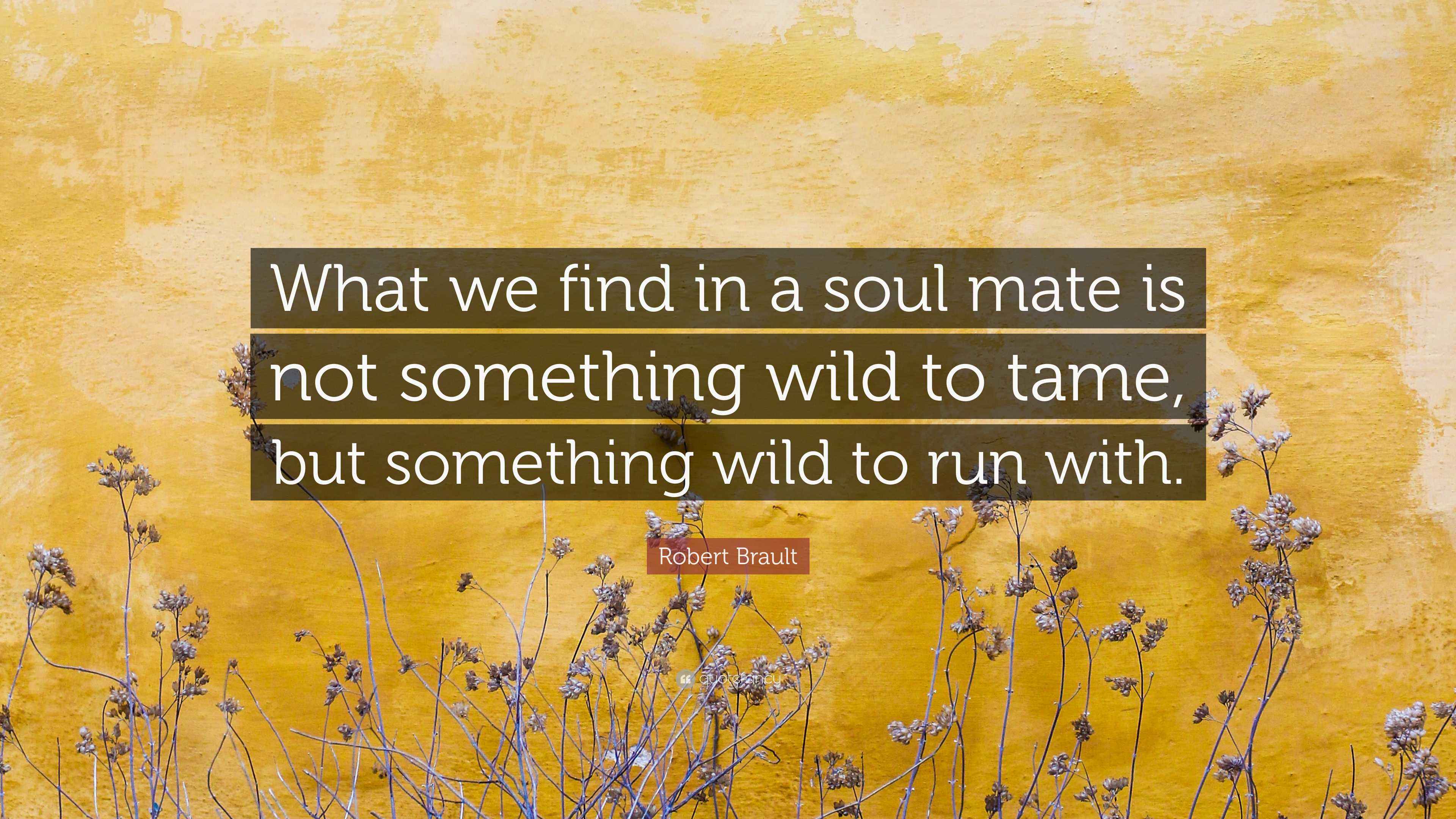 Robert Brault Quote: “What we find in a soul mate is not something wild ...