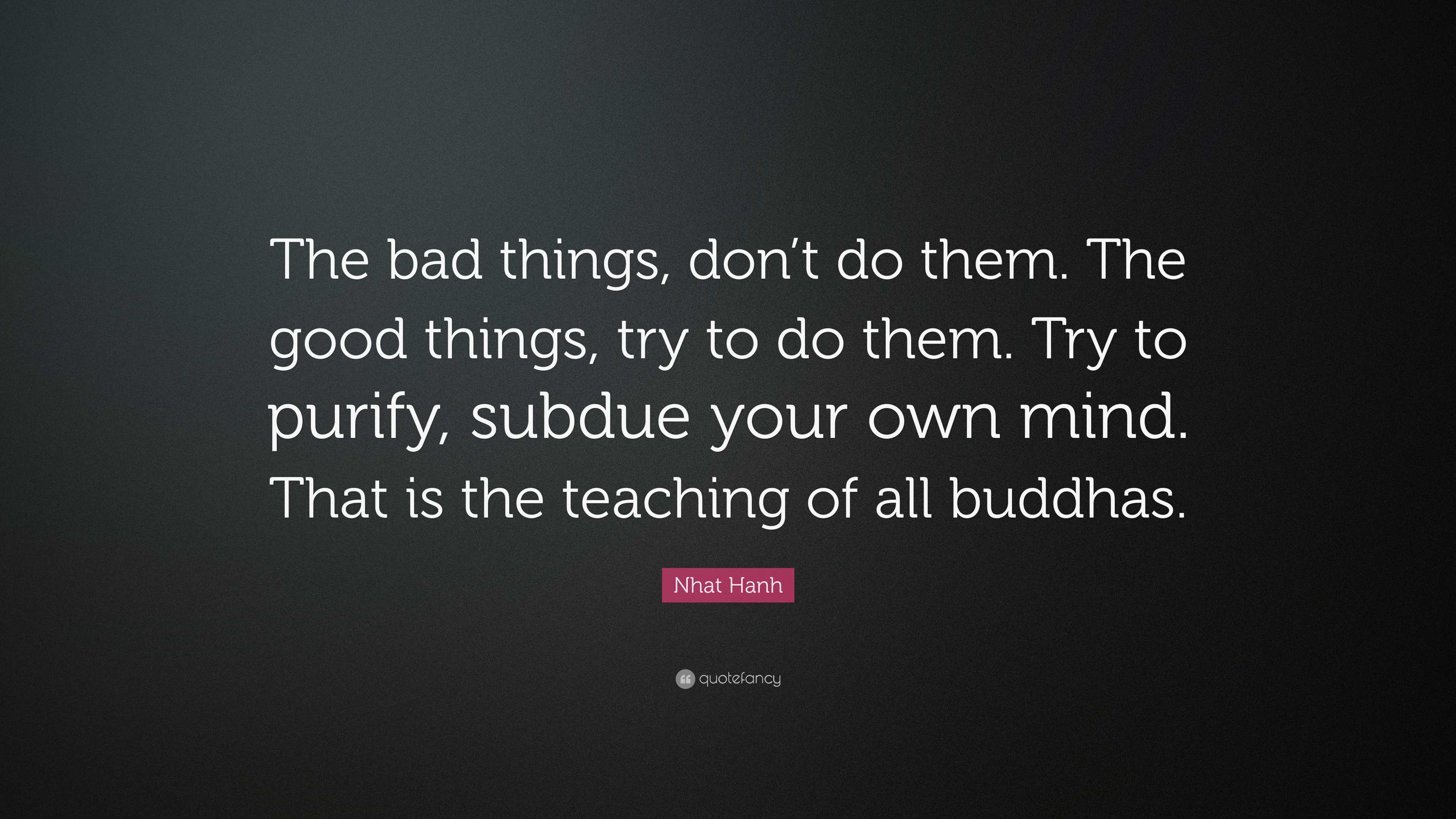 Nhat Hanh Quote: “The bad things, don’t do them. The good things, try ...