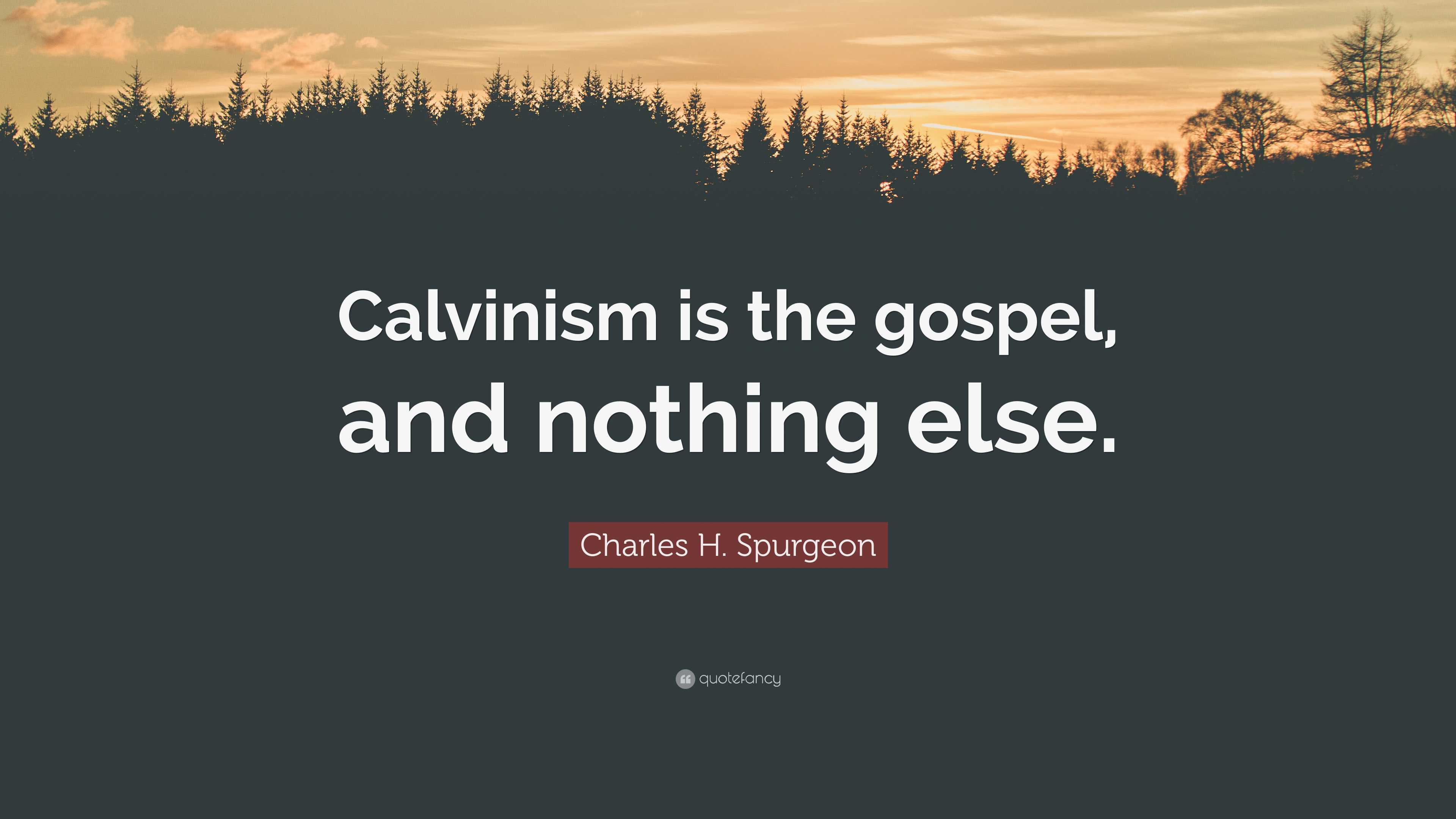 Charles H. Spurgeon Quote: “Calvinism is the gospel, and nothing else.”