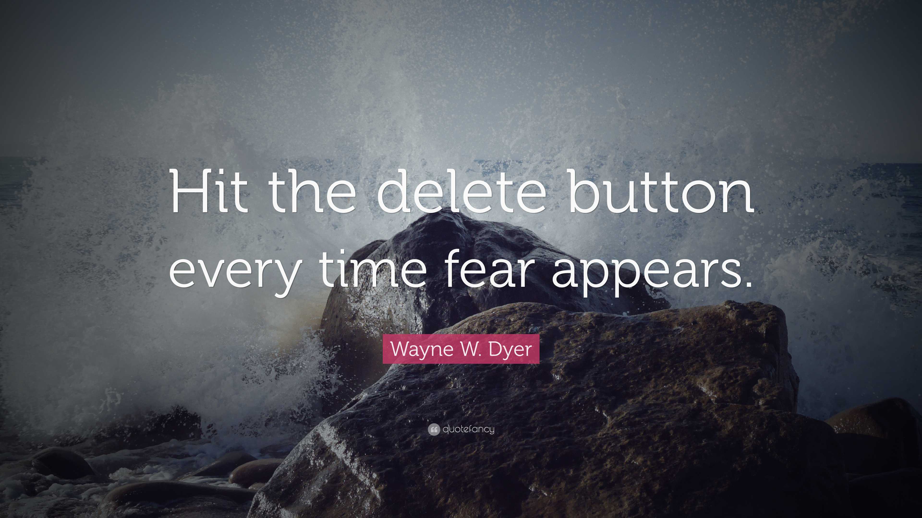 Wayne W. Dyer Quote: “Hit the delete button every time fear appears.”