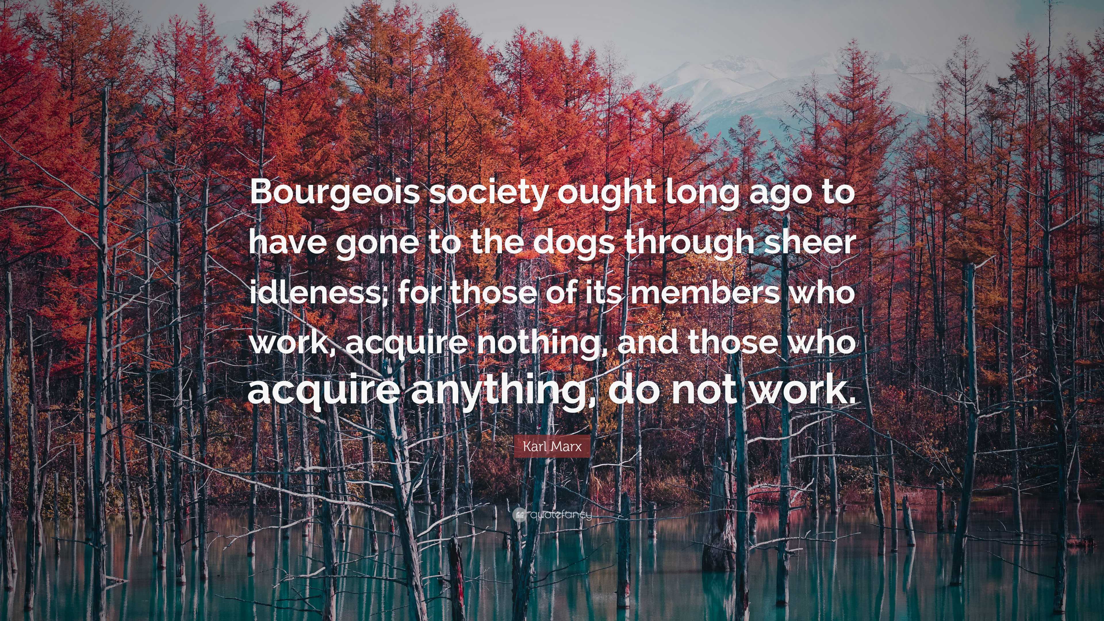 Karl Marx Quote: “Bourgeois society ought long ago to have gone to the ...