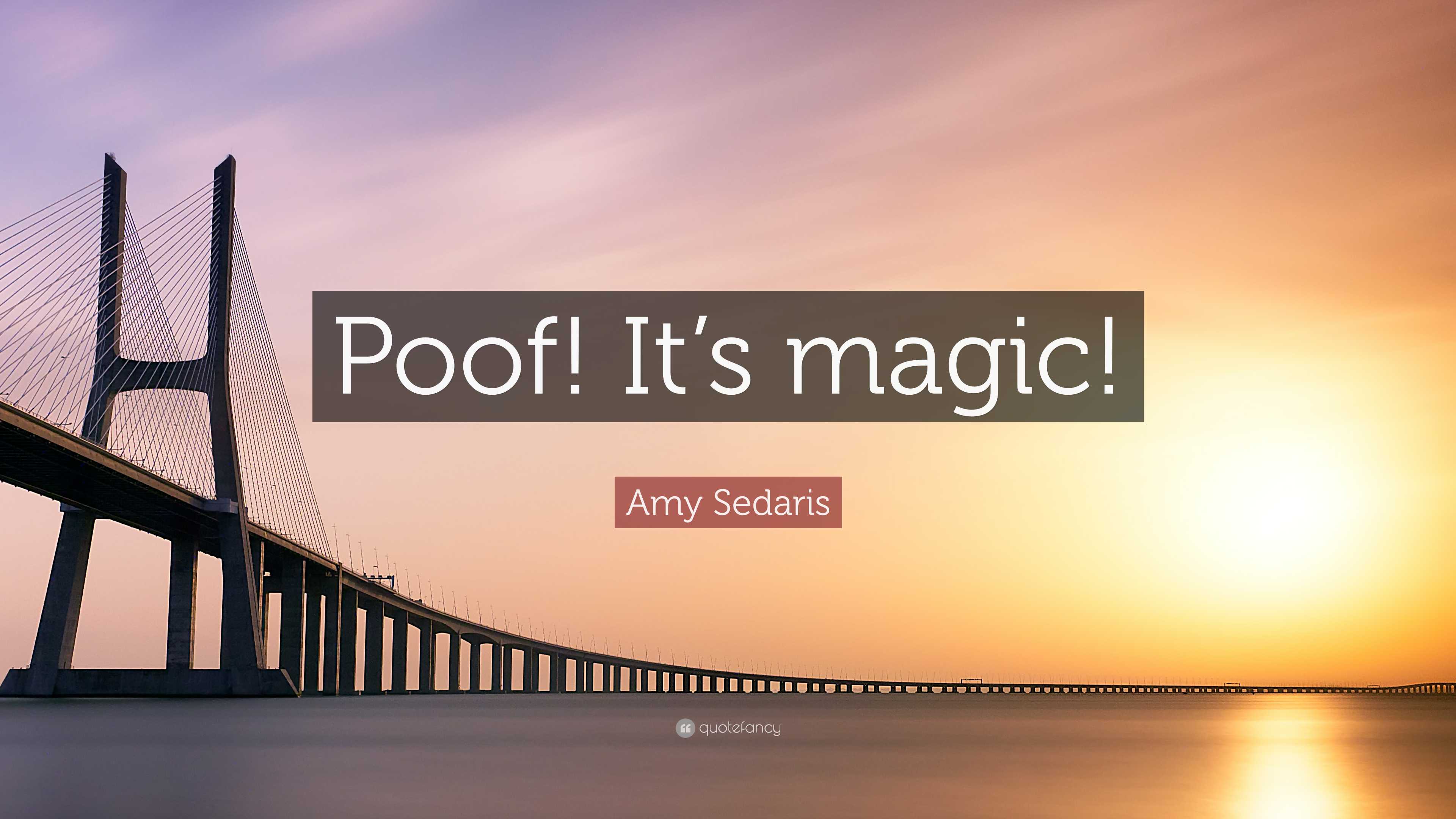 Amy Sedaris Quote: “Poof! It’s magic!”