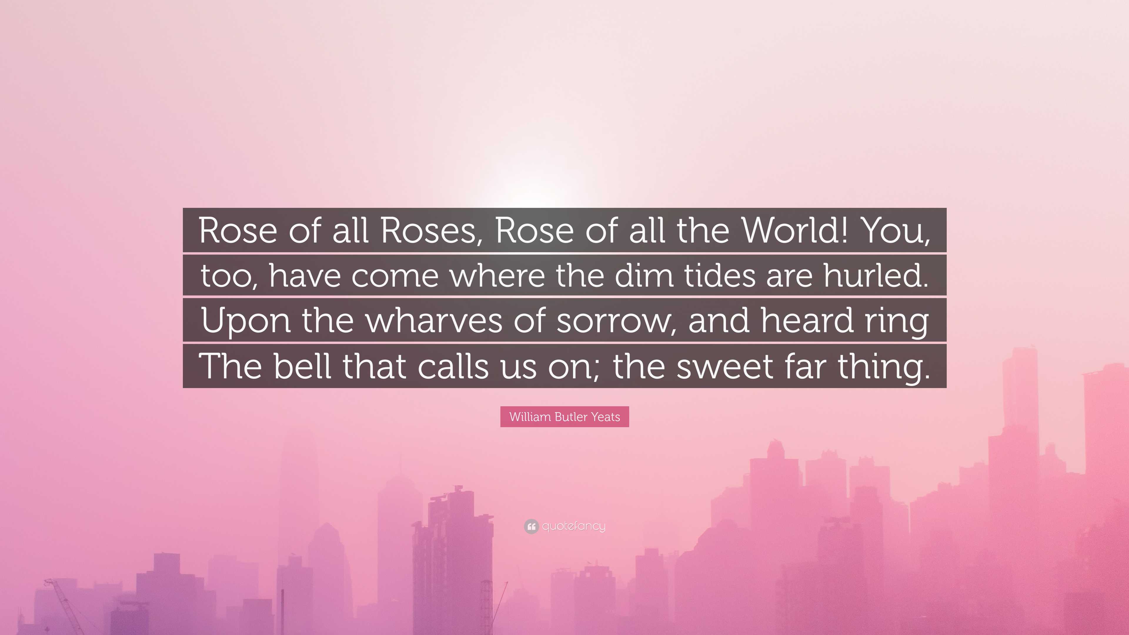 William Butler Yeats Quote: “Rose of all Roses, Rose of all the World ...