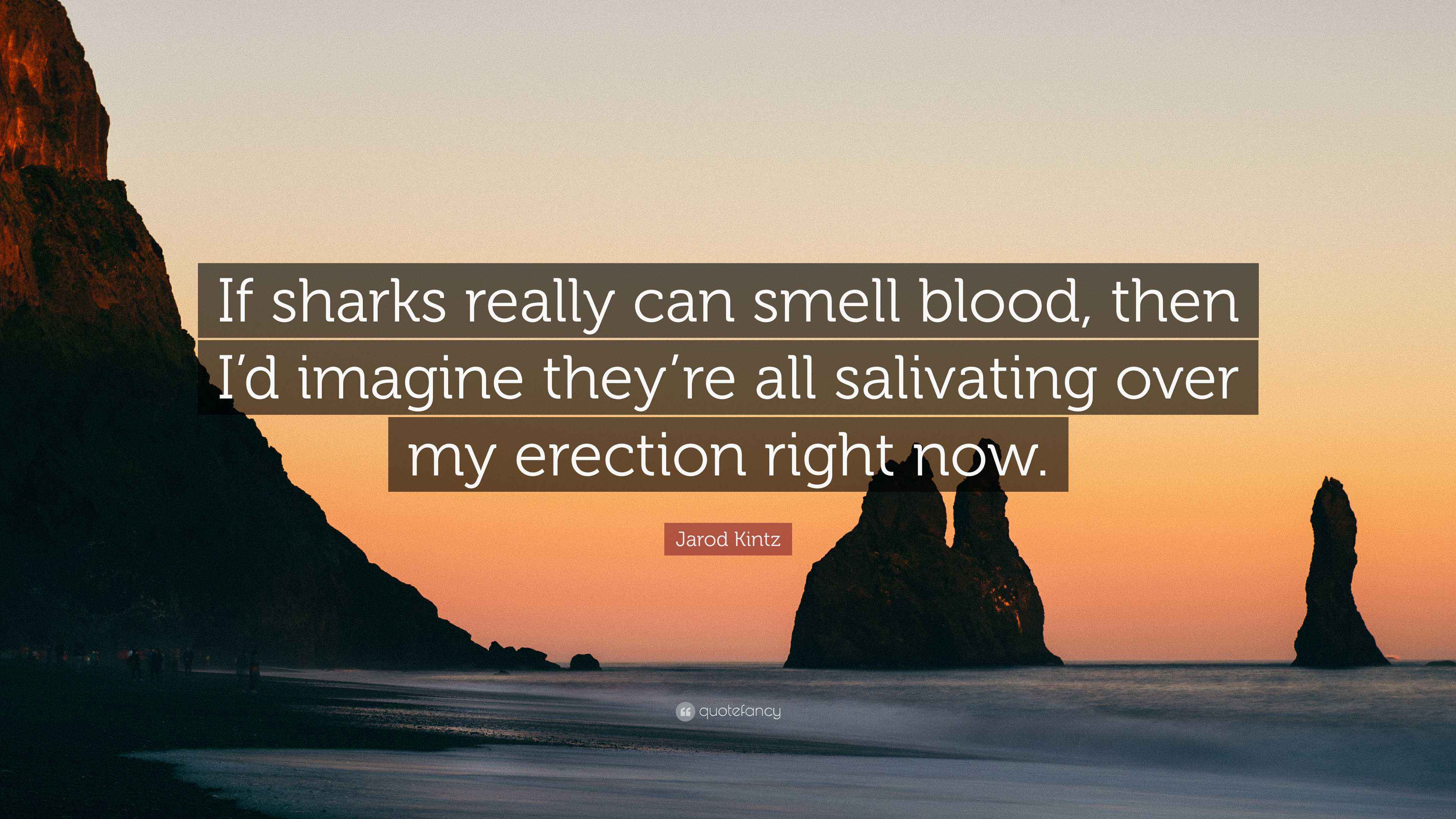 Jarod Kintz Quote: “If sharks really can smell blood, then I’d imagine ...