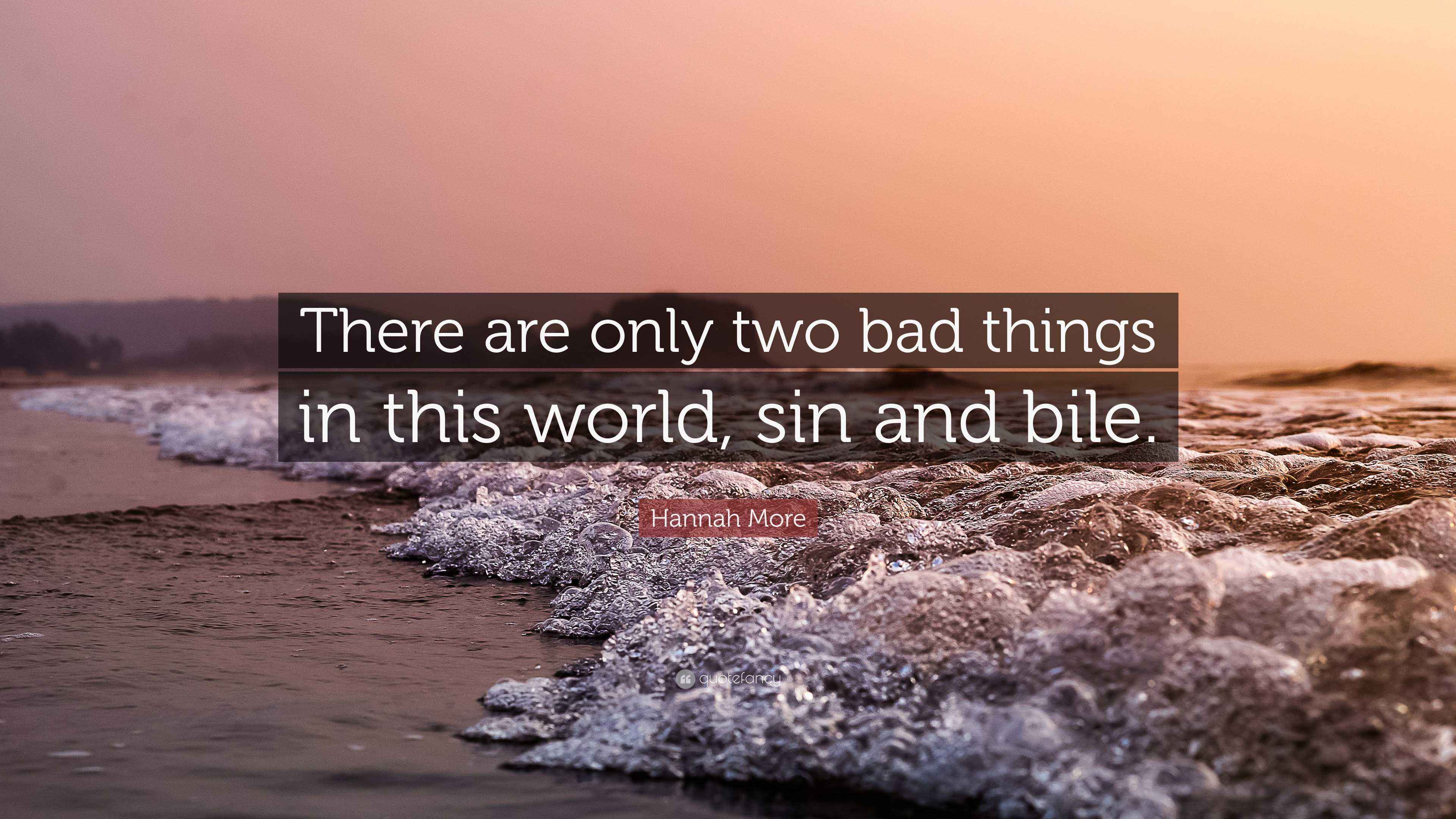 Hannah More Quote: “There are only two bad things in this world, sin ...
