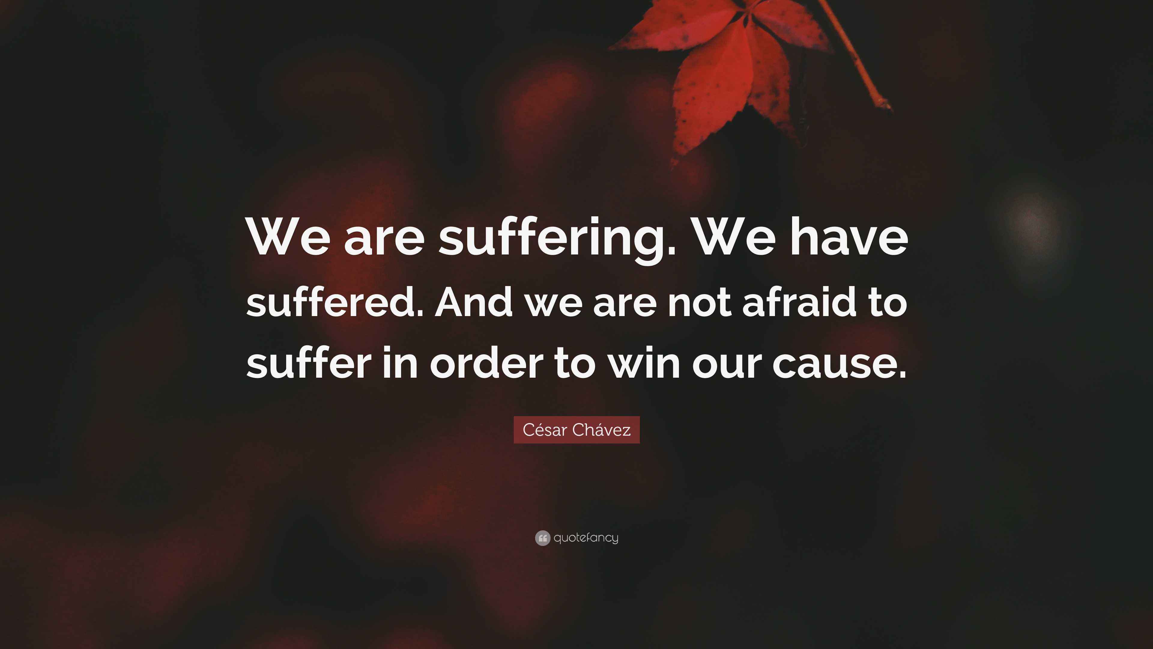 César Chávez Quote: “We are suffering. We have suffered. And we are not ...