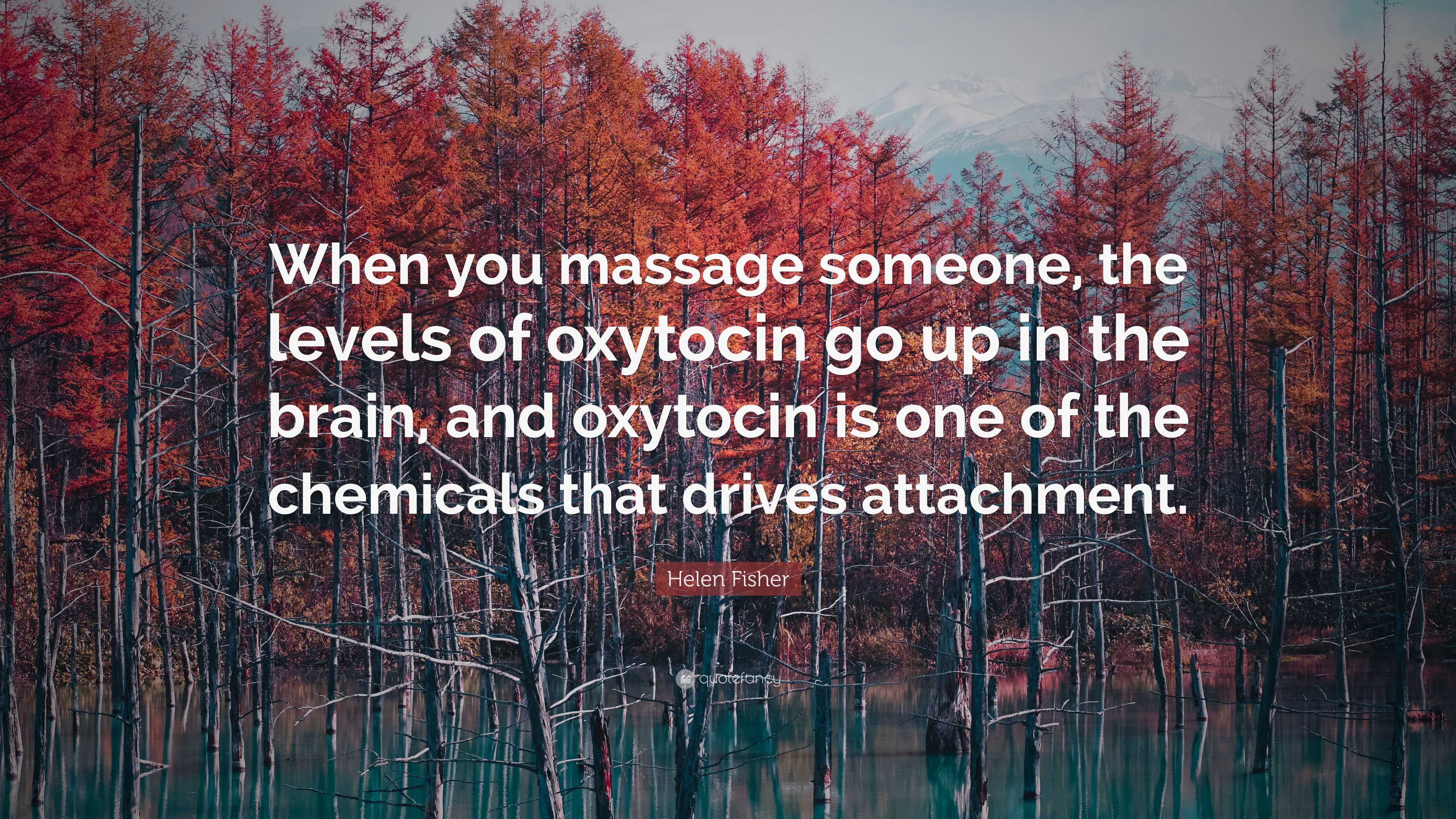 Helen Fisher Quote: “When you massage someone, the levels of oxytocin ...
